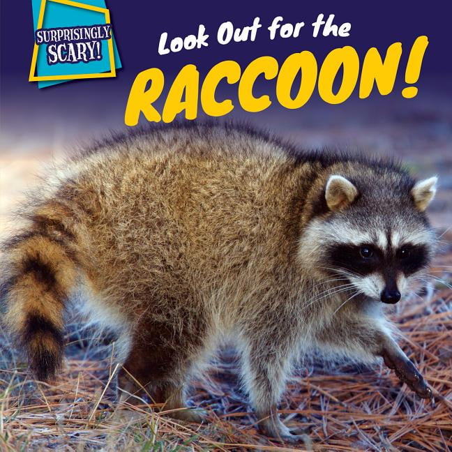Surprisingly Scary!: Look Out for the Raccoon! (Paperback) - Walmart.com