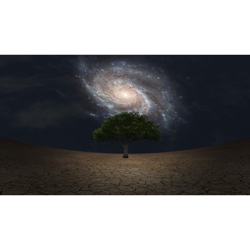 Surrealism. Green tree in arid land. Galaxy in night sky. Poster Print ...