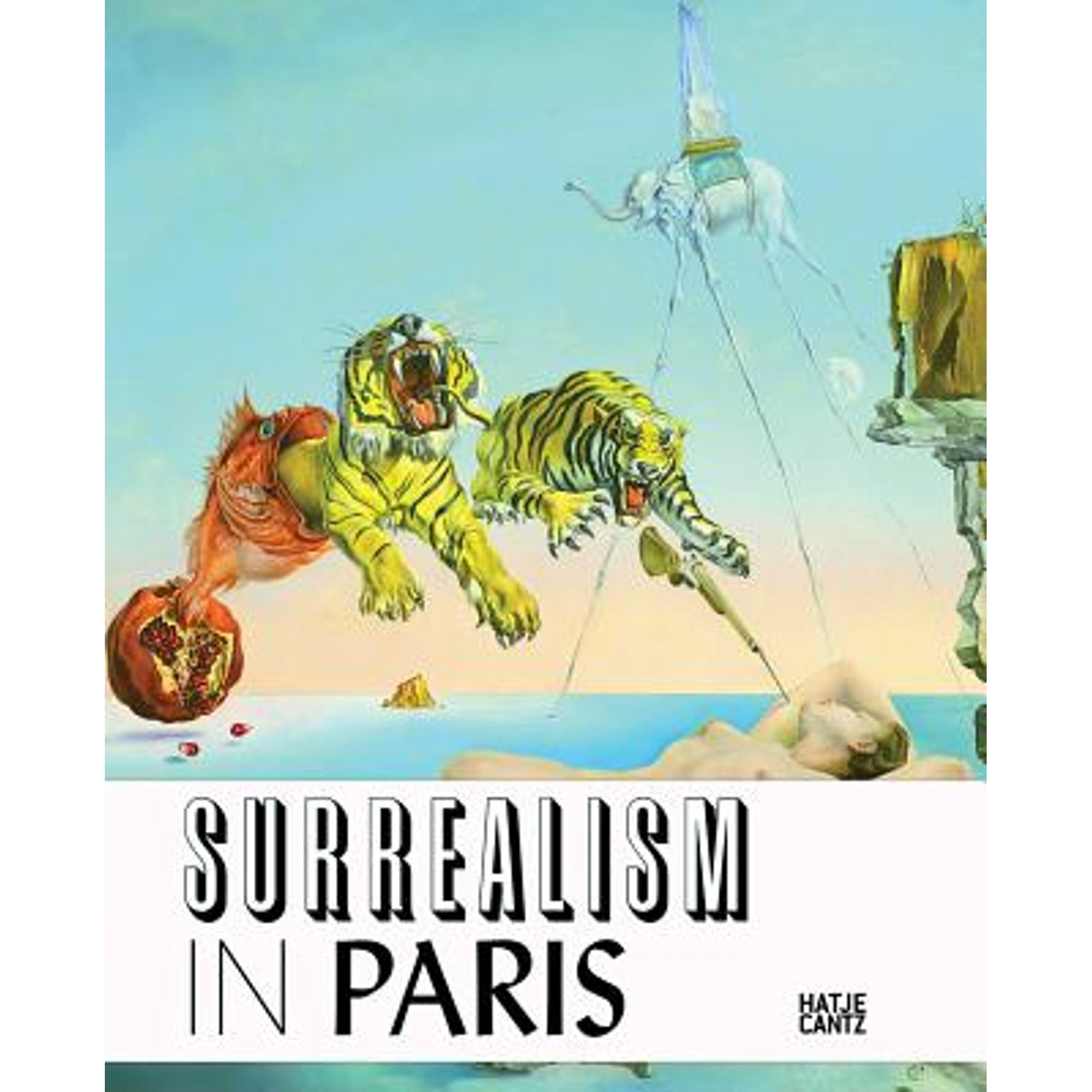 Pre-Owned Surrealism in Paris (Hardcover 9783775731614) by Philippe ...