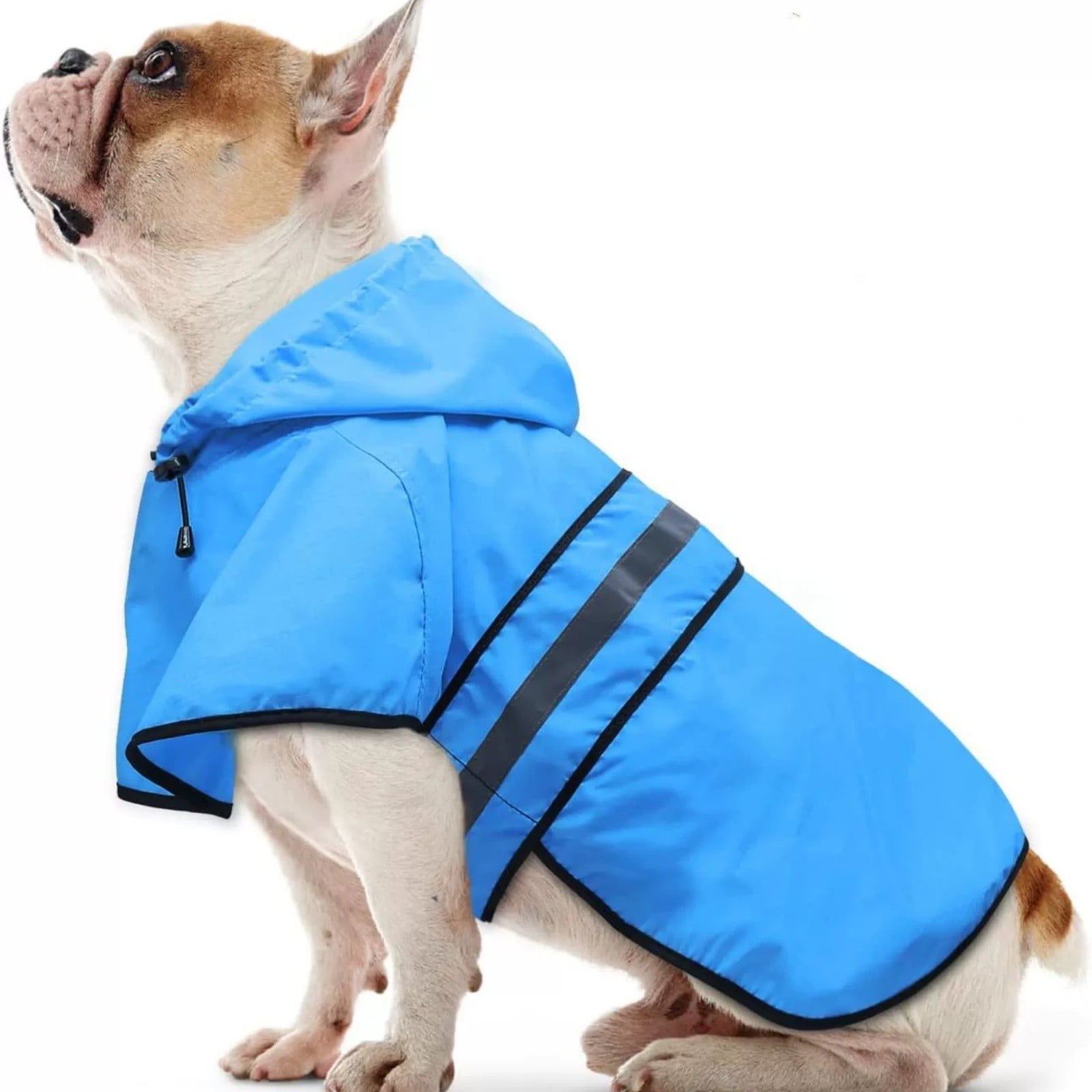 Surrounded By Raincoats Raincoats Raincoats Ponchos Large And Small ...