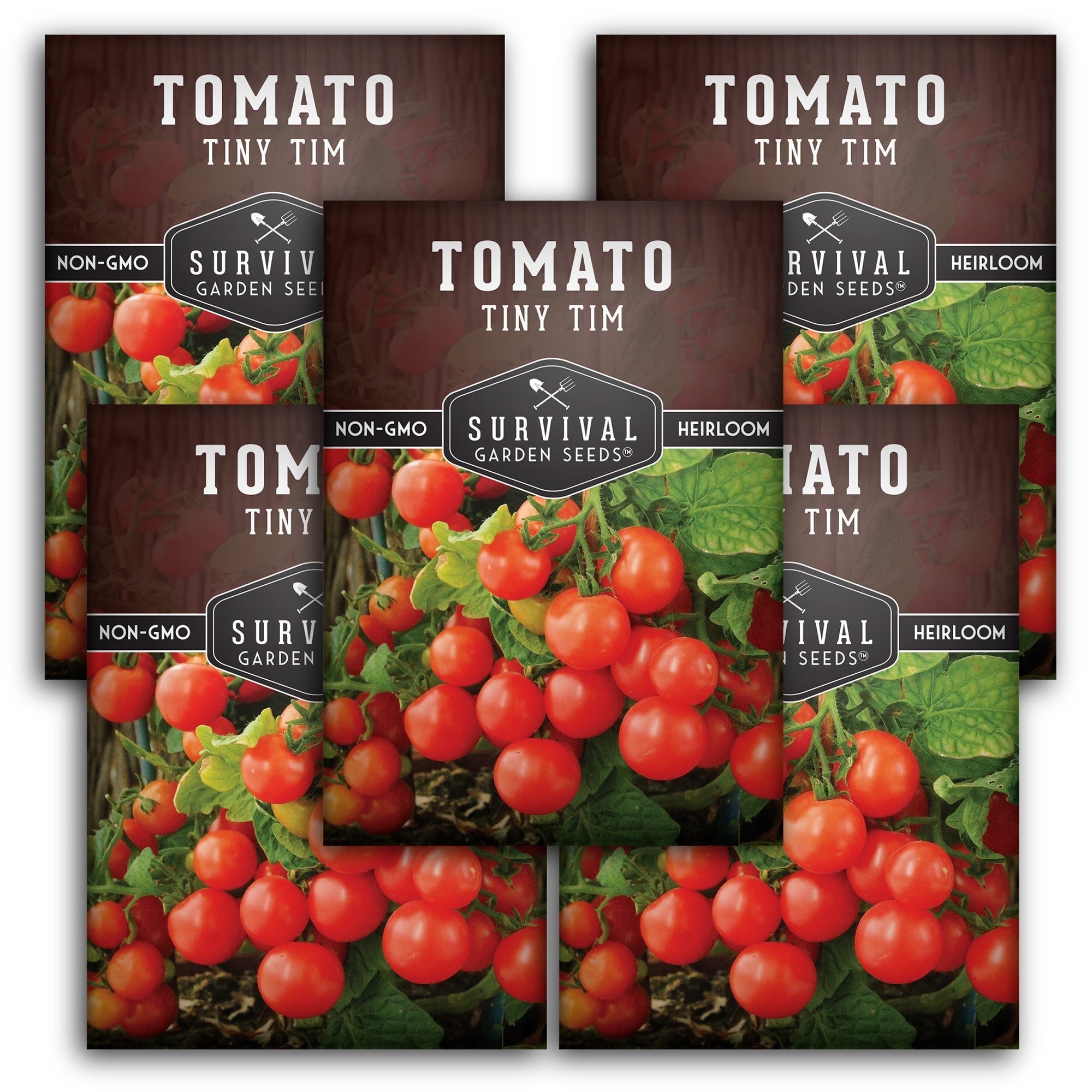 5 Packets of Tiny Tim Tomato Seed - Non-GMO Heirloom Full Sun Annual ...