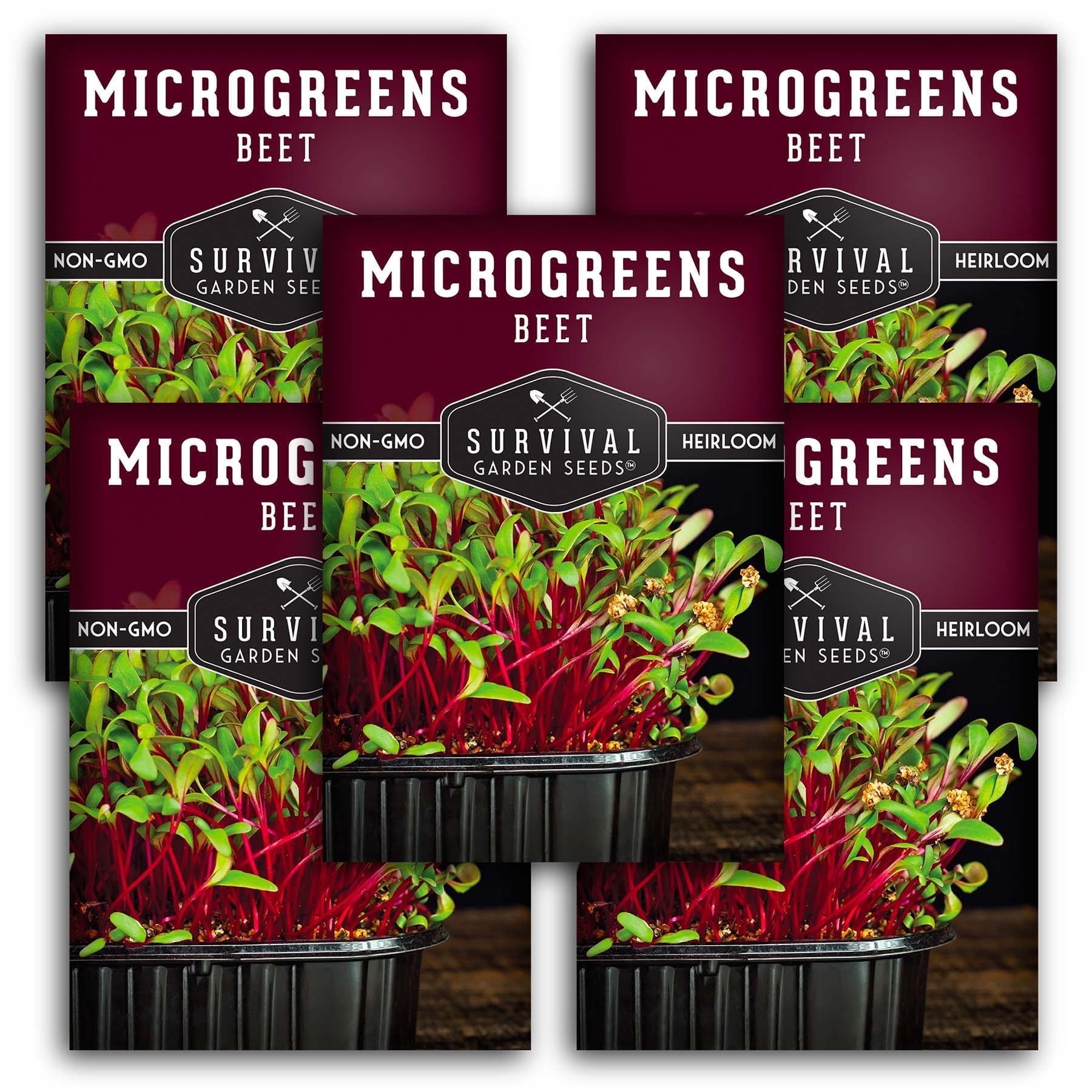5 Packs Beet Seed for Microgreens - Non-GMO Heirloom Full Sun Biennial ...