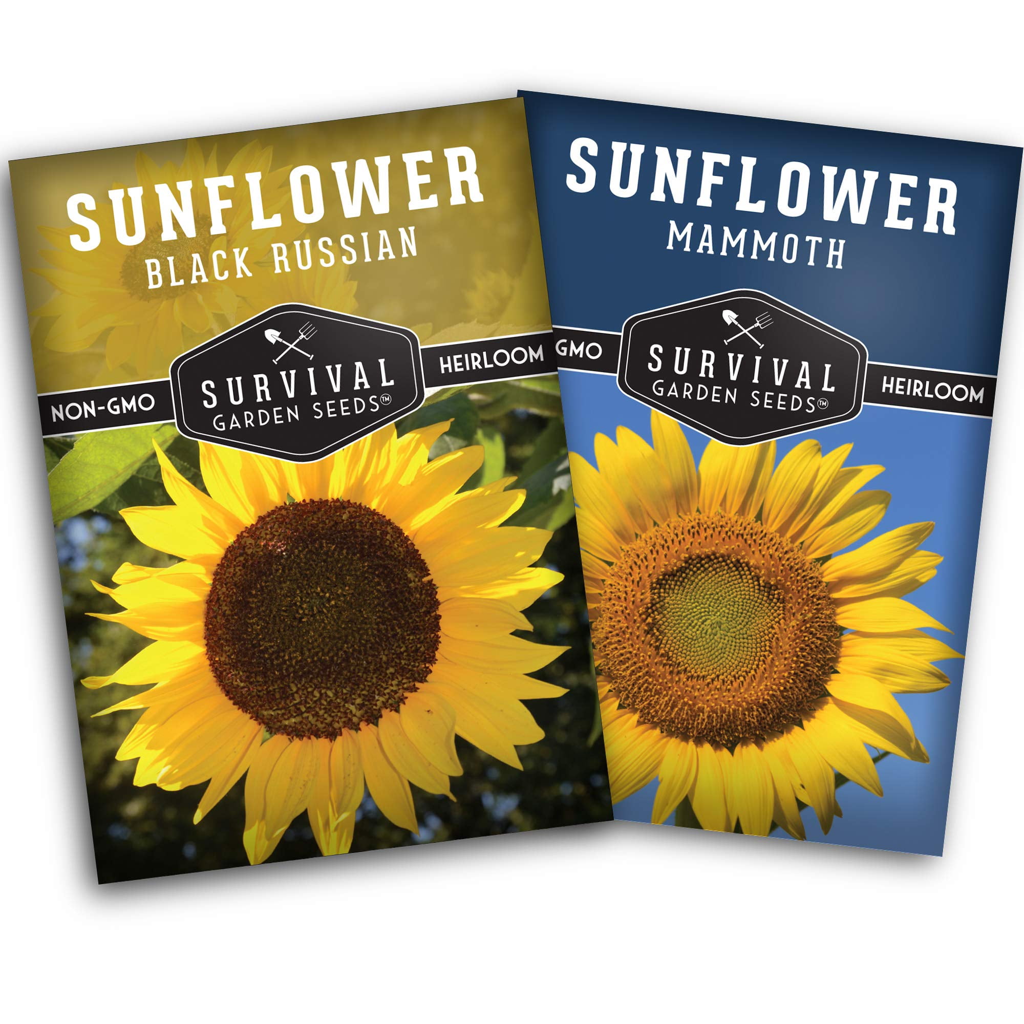 Survival Garden Seeds FEV6 Edible Sunflower Seeds Vault - Gigantic ...