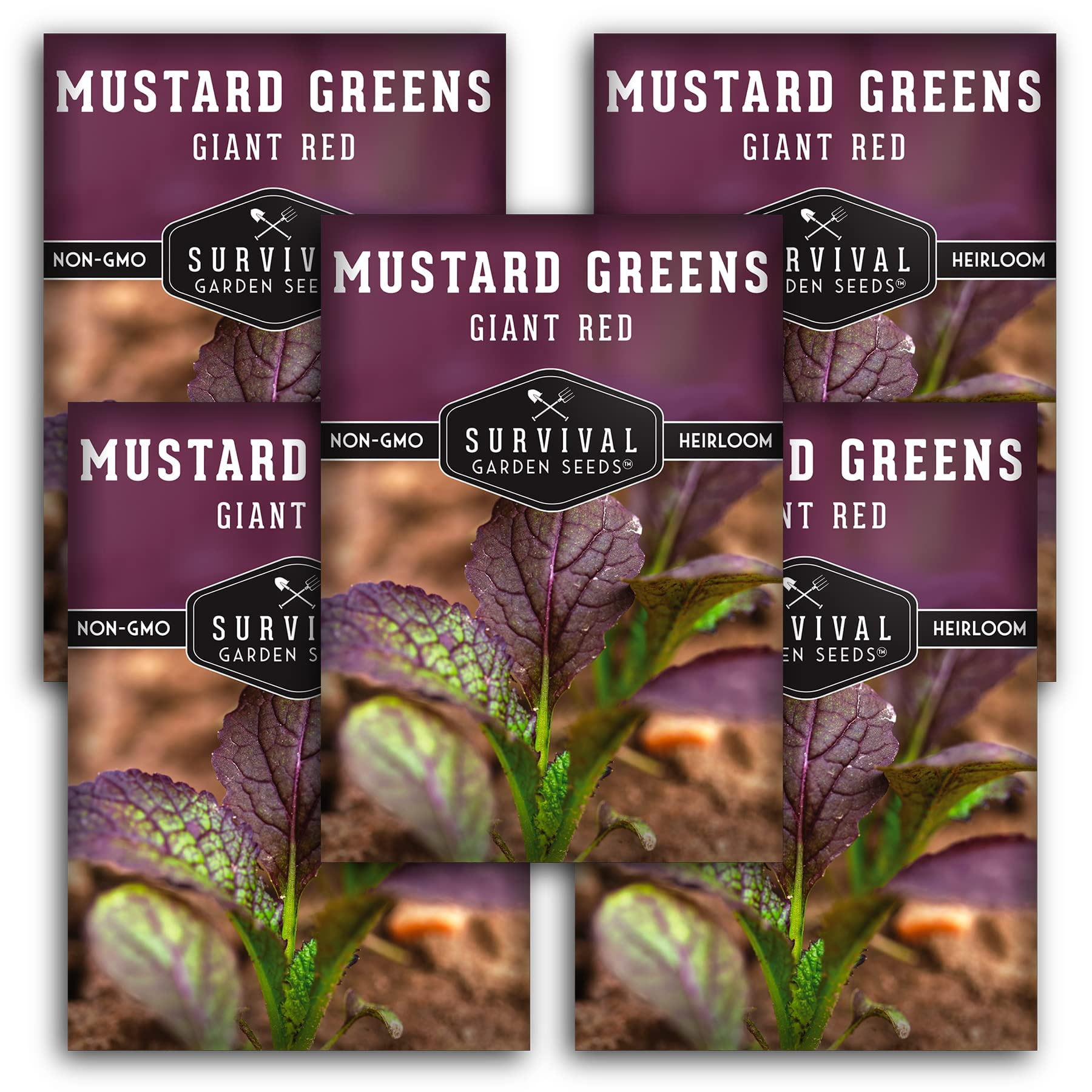 Survival Garden Seeds FEV6 - Giant Red Mustard Greens Planting - 5 ...