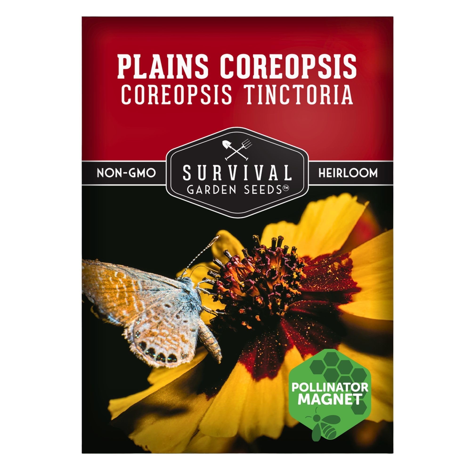 Plains Coreopsis Seeds for Planting | Native Full Sun Annual Flower ...