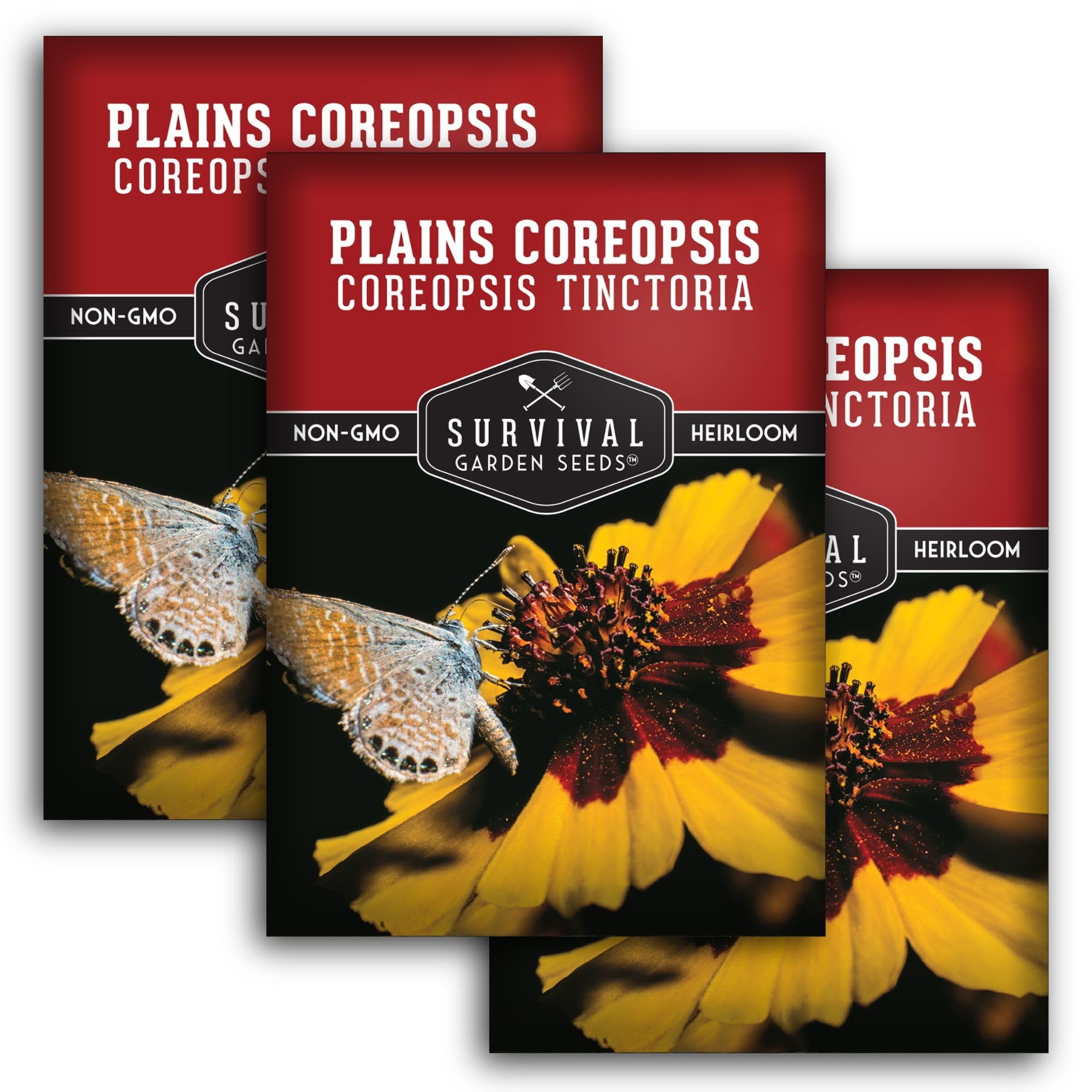 Plains Coreopsis Seeds for Planting | Native Wildflower Coreopsis ...