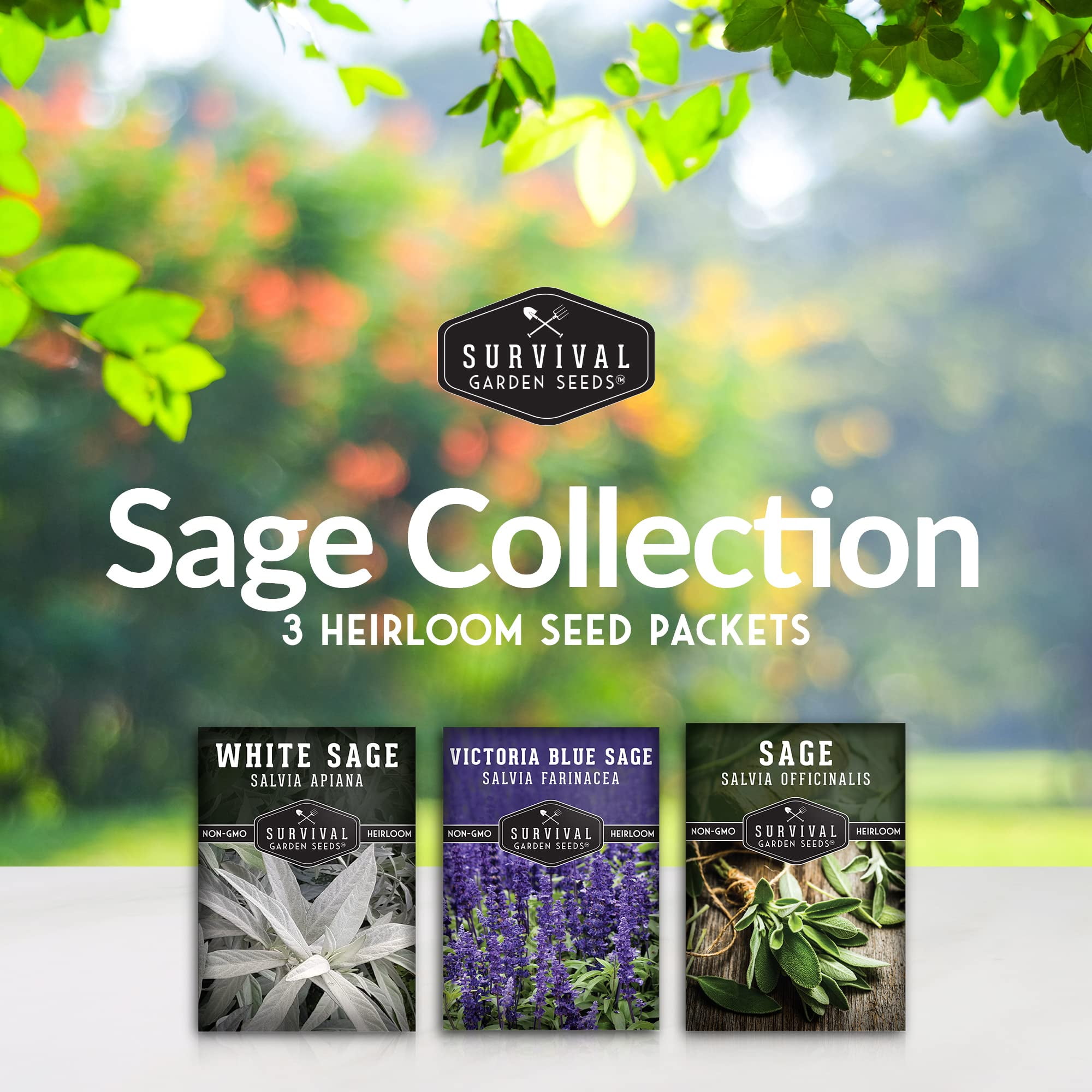 Survival Garden Seeds Sage Collection Seed Vault H2FSD- White, Culinary ...
