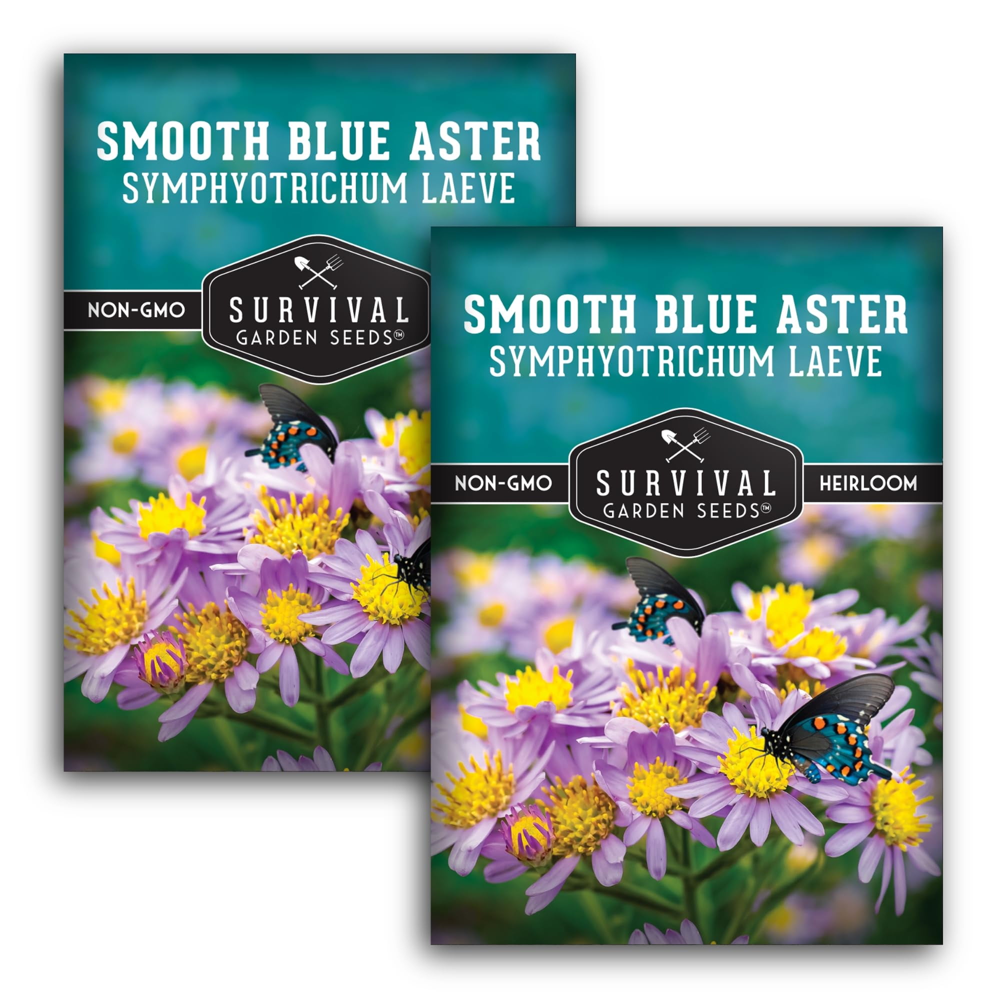 Survival Garden Seeds - Smooth Blue Aster Seeds for Planting ...