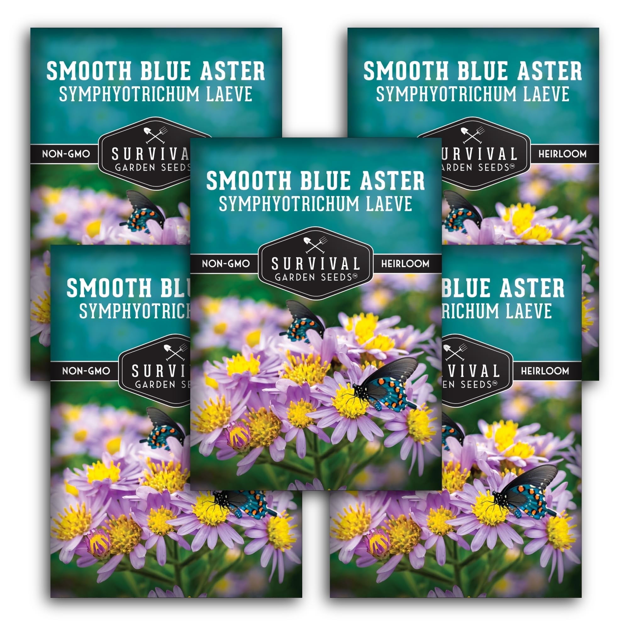 Smooth Blue Aster Seeds for Planting - Native Flower - Full Sun ...