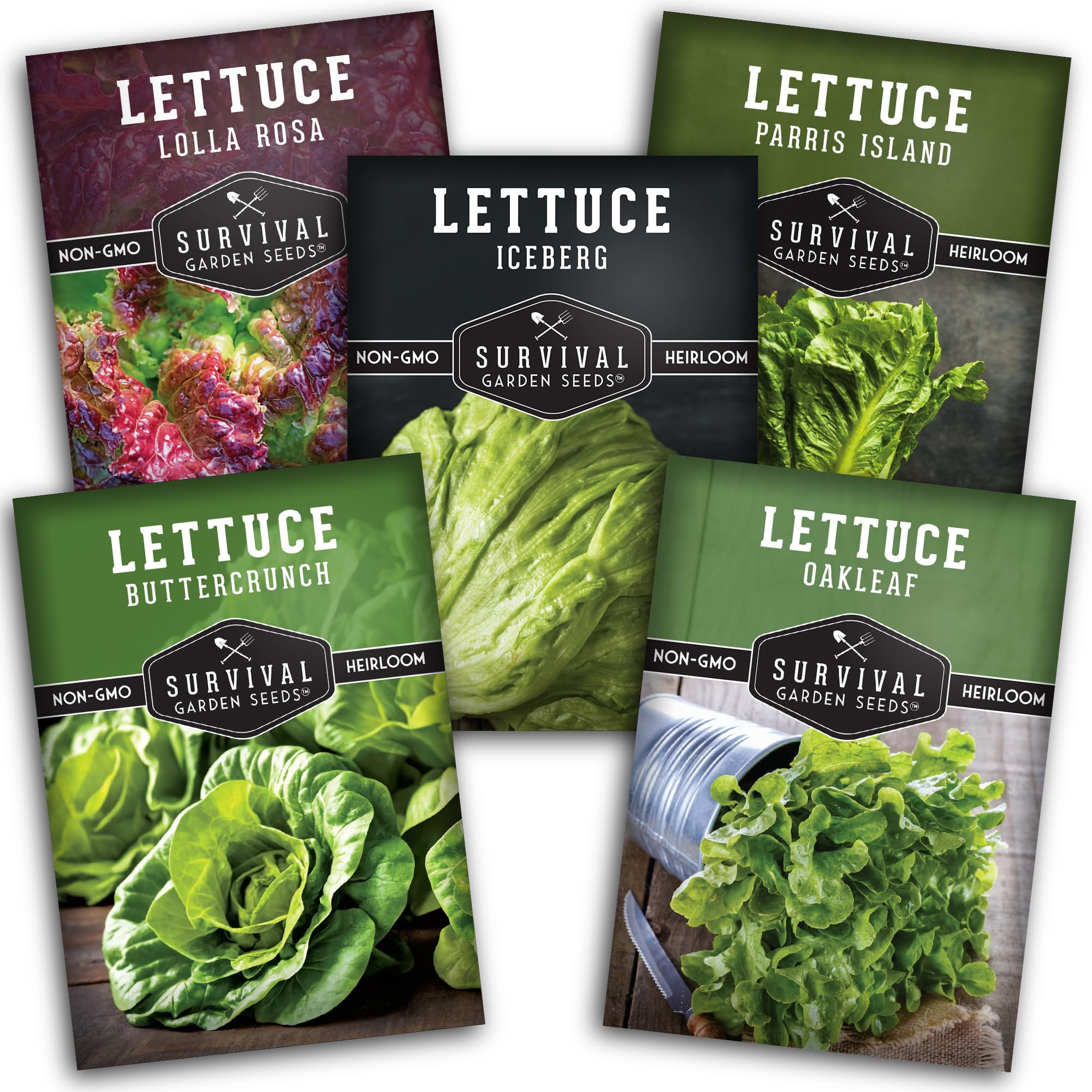 Survival Garden Seeds TWE5 5 Lettuce Collection Seed Vault - Buttercrunch, Oakleaf, Lolla Rosa ...