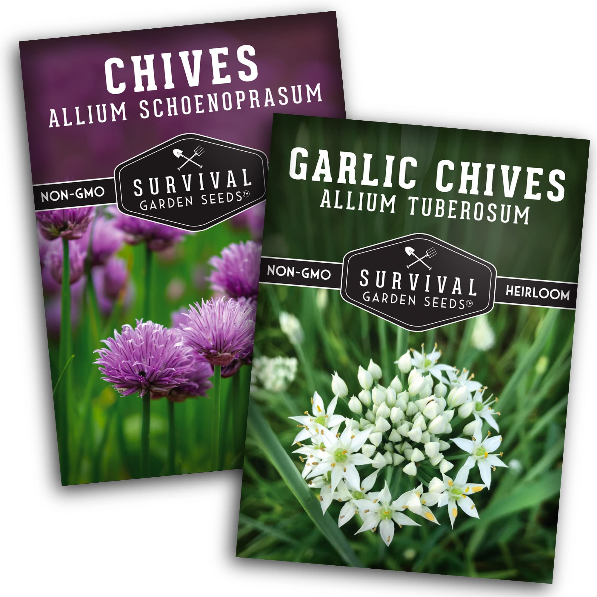 Survival Garden Seeds TWE5 Chive Seed Collection - Common & Garlic 2 Packets of Non-GMO Heirloom ...