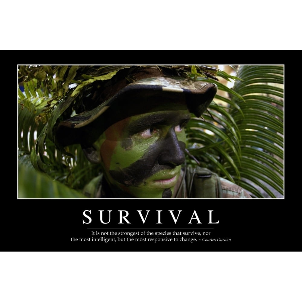 Survival: Inspirational Quote and Motivational Poster Poster Print ...