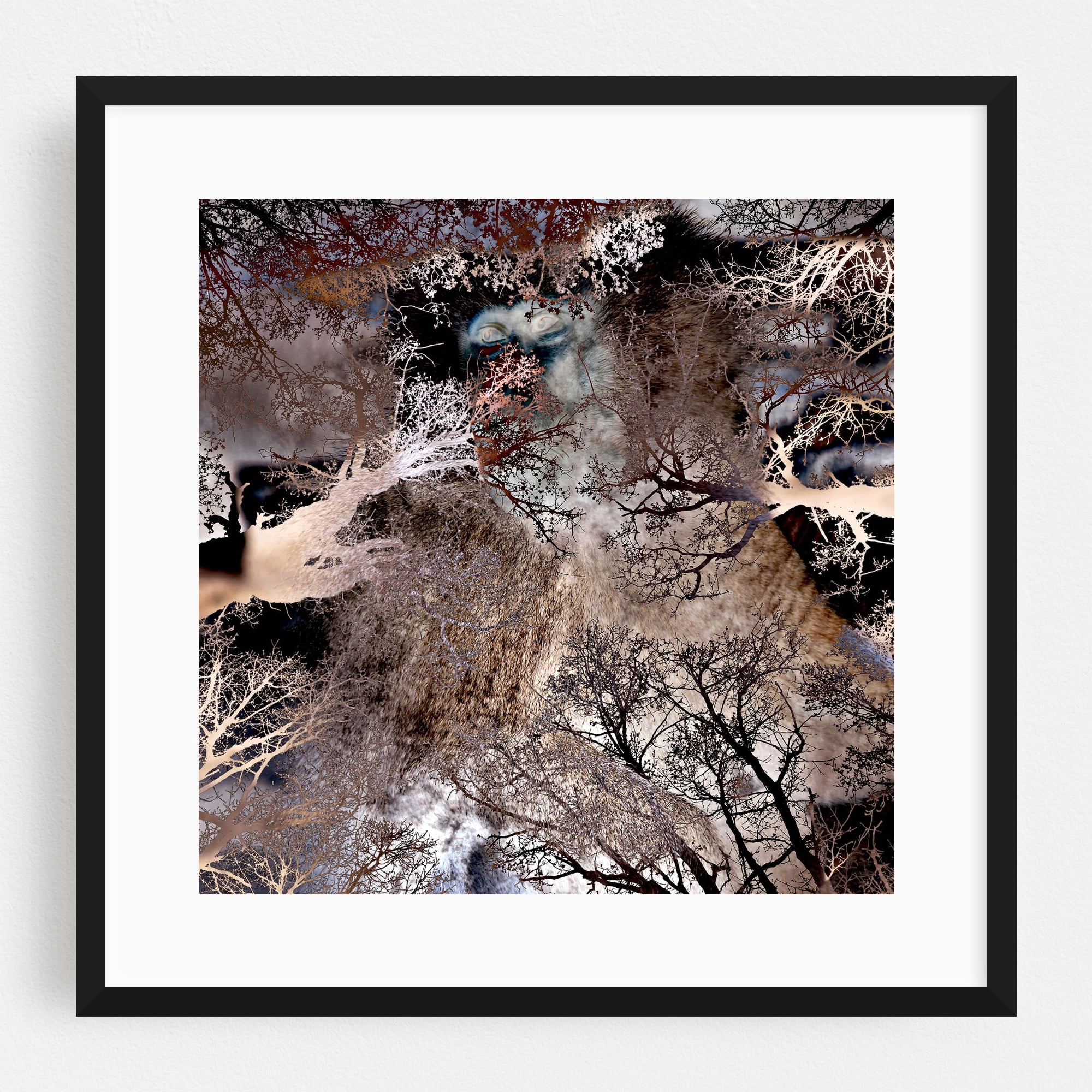 Surviving in the umber bush of ghosts - Sicilia Italy Digital Art ...
