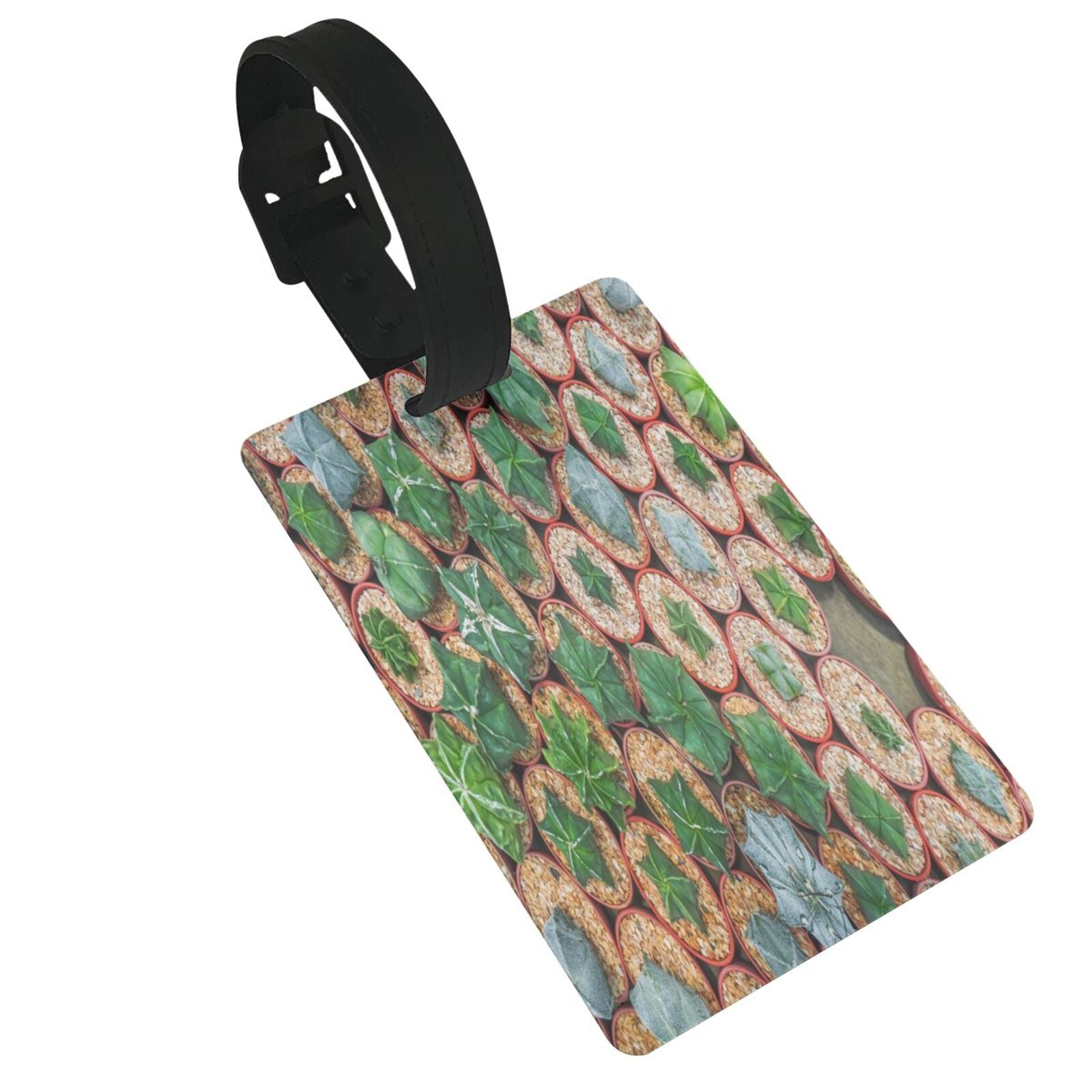 Susaid Cactus 4 Print Funny Luggage Tags Colorful Unique Travel Baggage ... Susaid Cactus 4 Print Funny Luggage Tags Colorful Unique Travel Baggage ...
