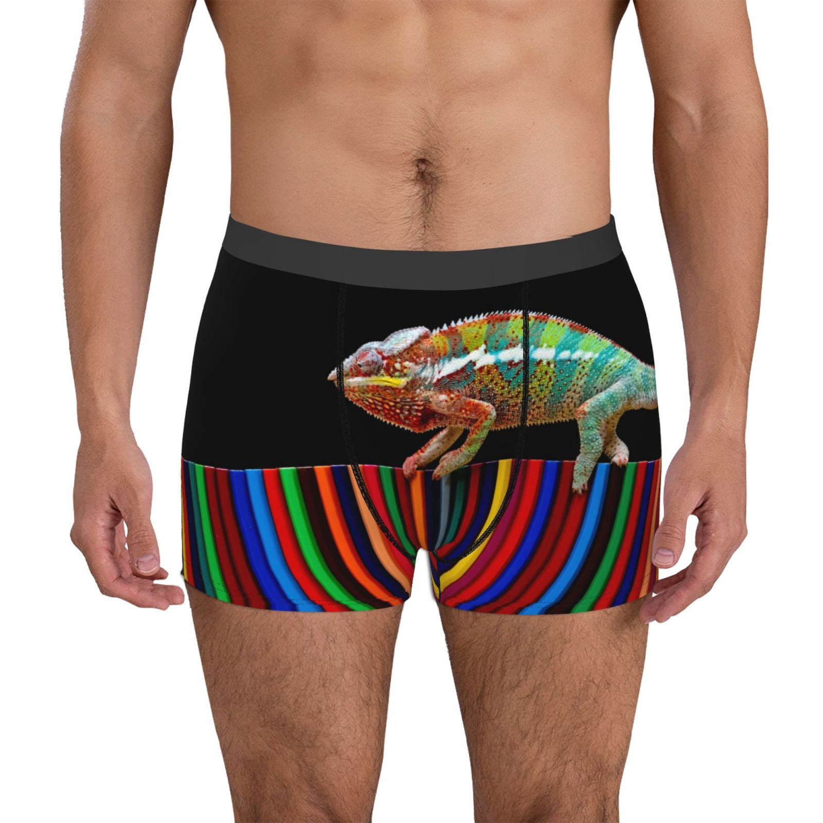 Susaid Chameleon Panther On Colored Pencils Print Men's Mesh Boxer ...