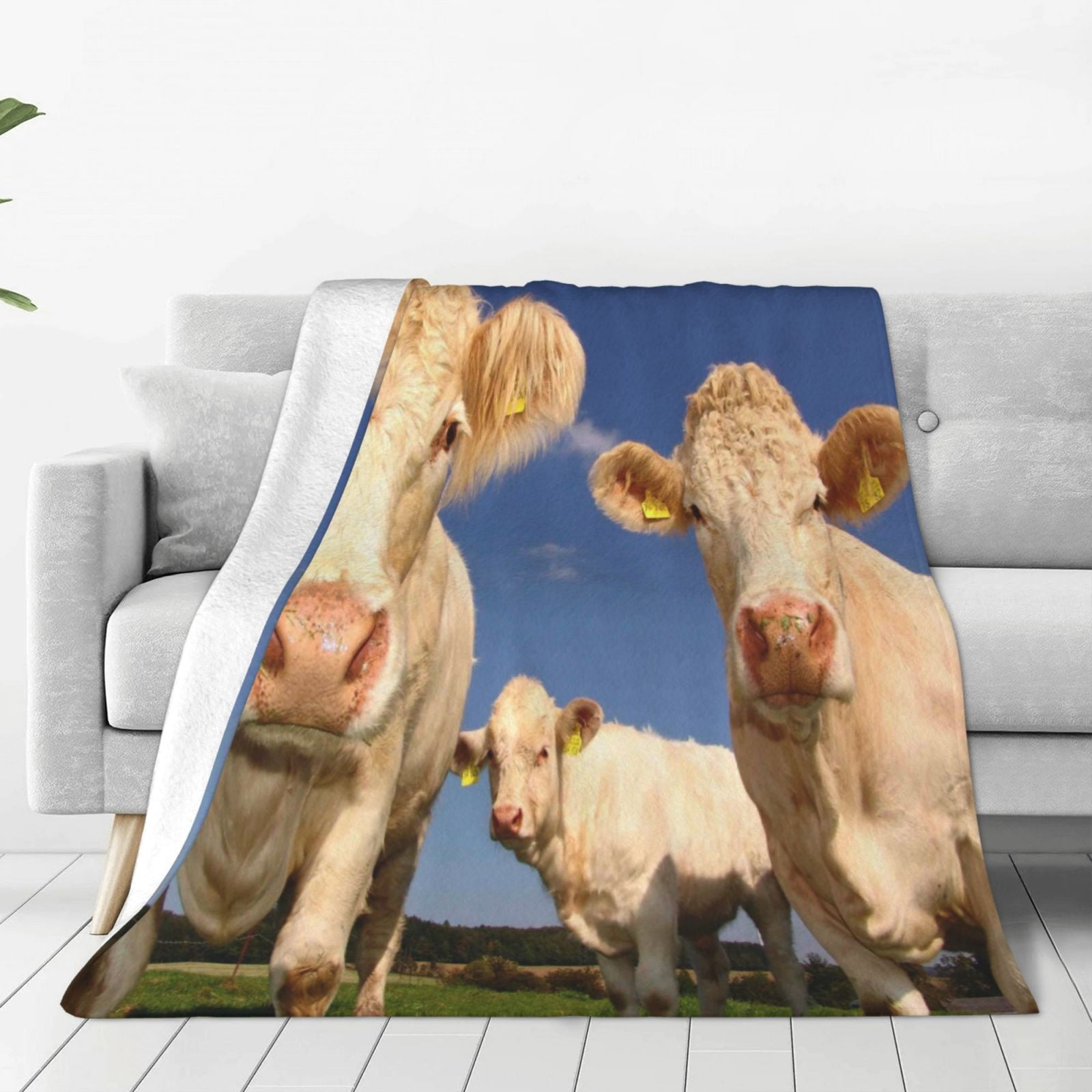 Susaid Cows Cattles Print Microfiber Cleaning Cloth, Multi-Functional ...
