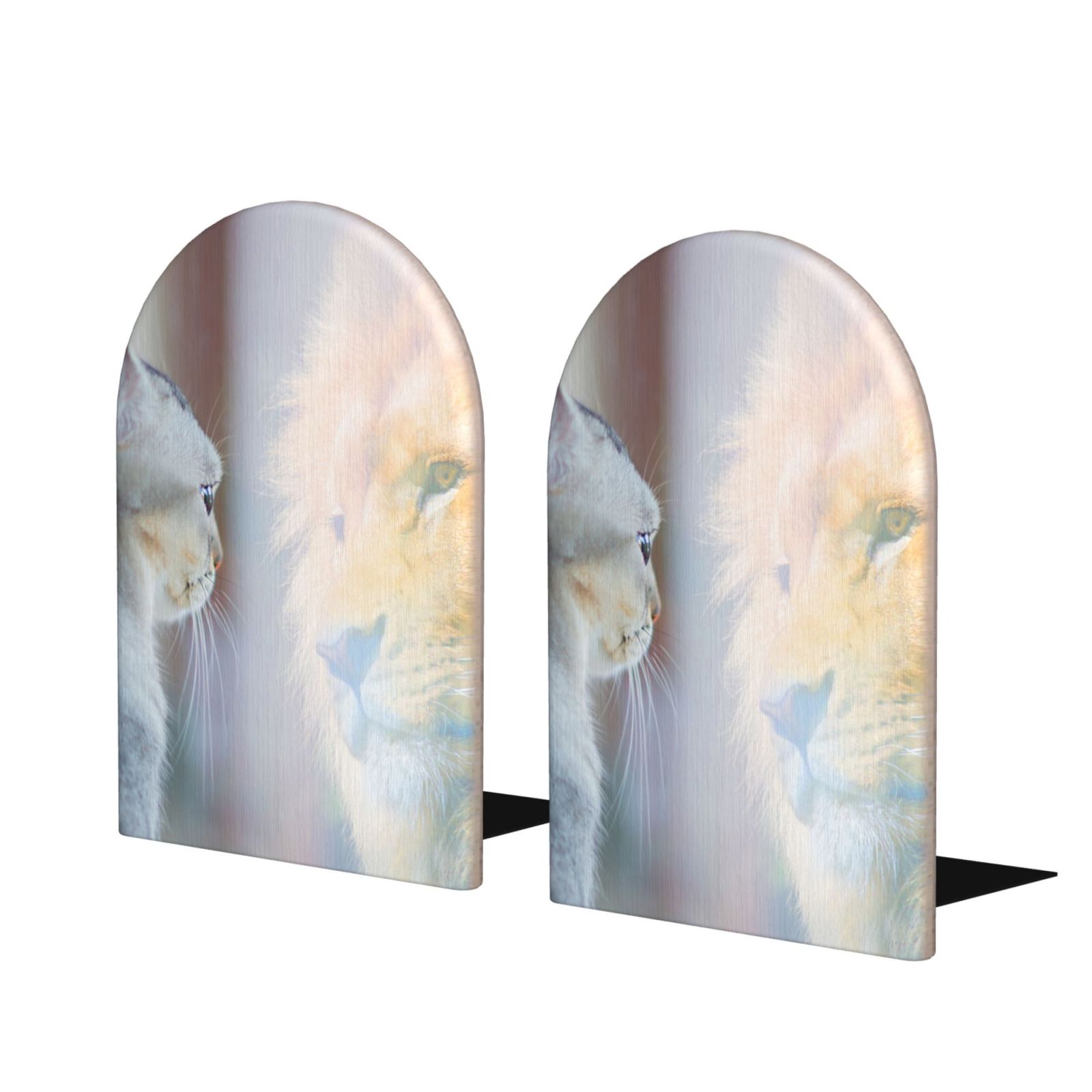 Susaid The Cat Looks in the Mirror Print Wooden Bookends Decorative ...