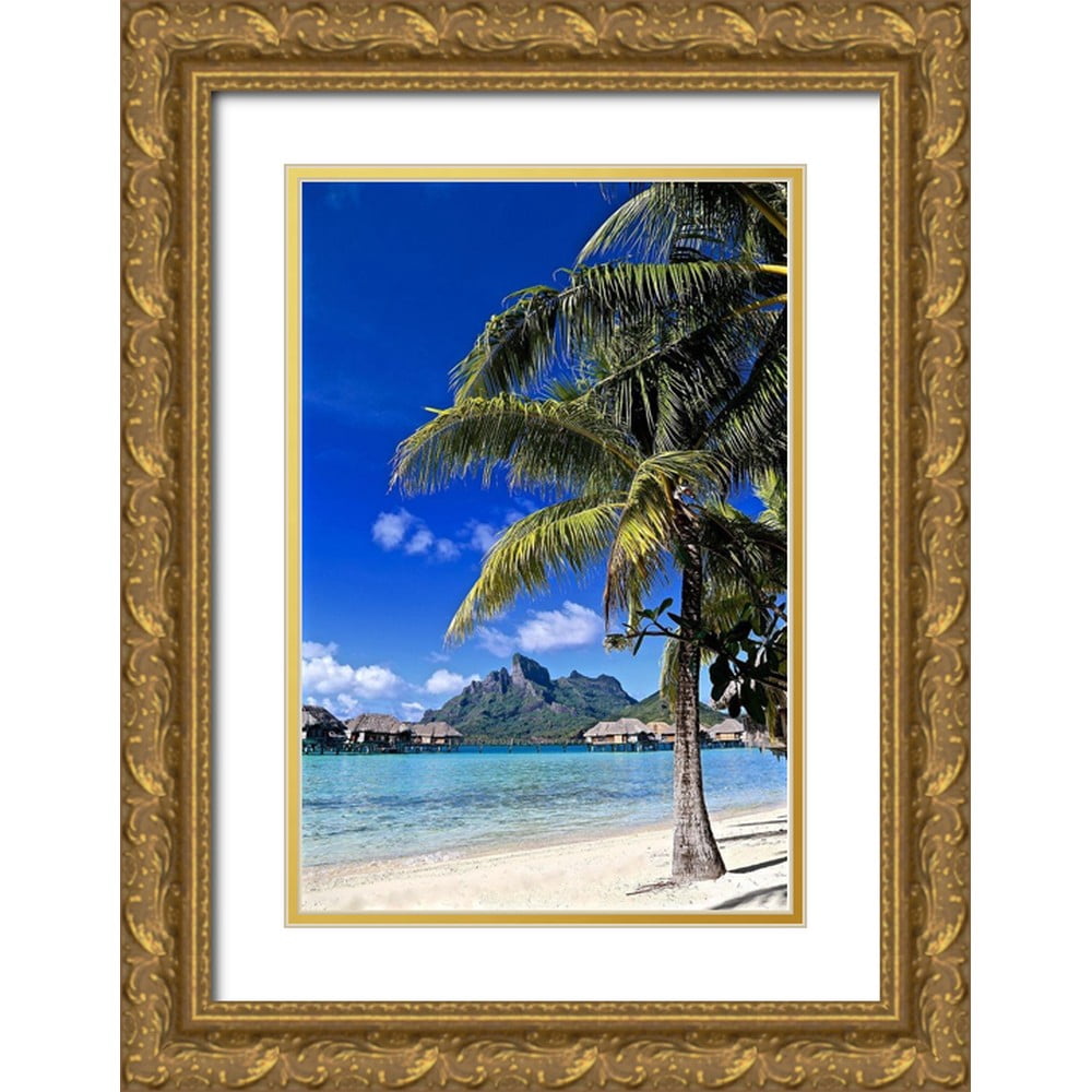 Susan Vizvary Photography 11x14 Gold Ornate Wood Framed with Double ...