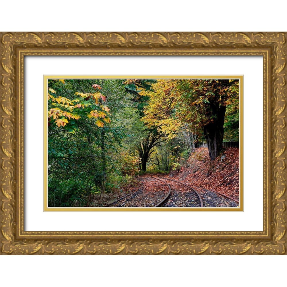 Susan Vizvary Photography 14x11 Gold Ornate Wood Framed with Double ...