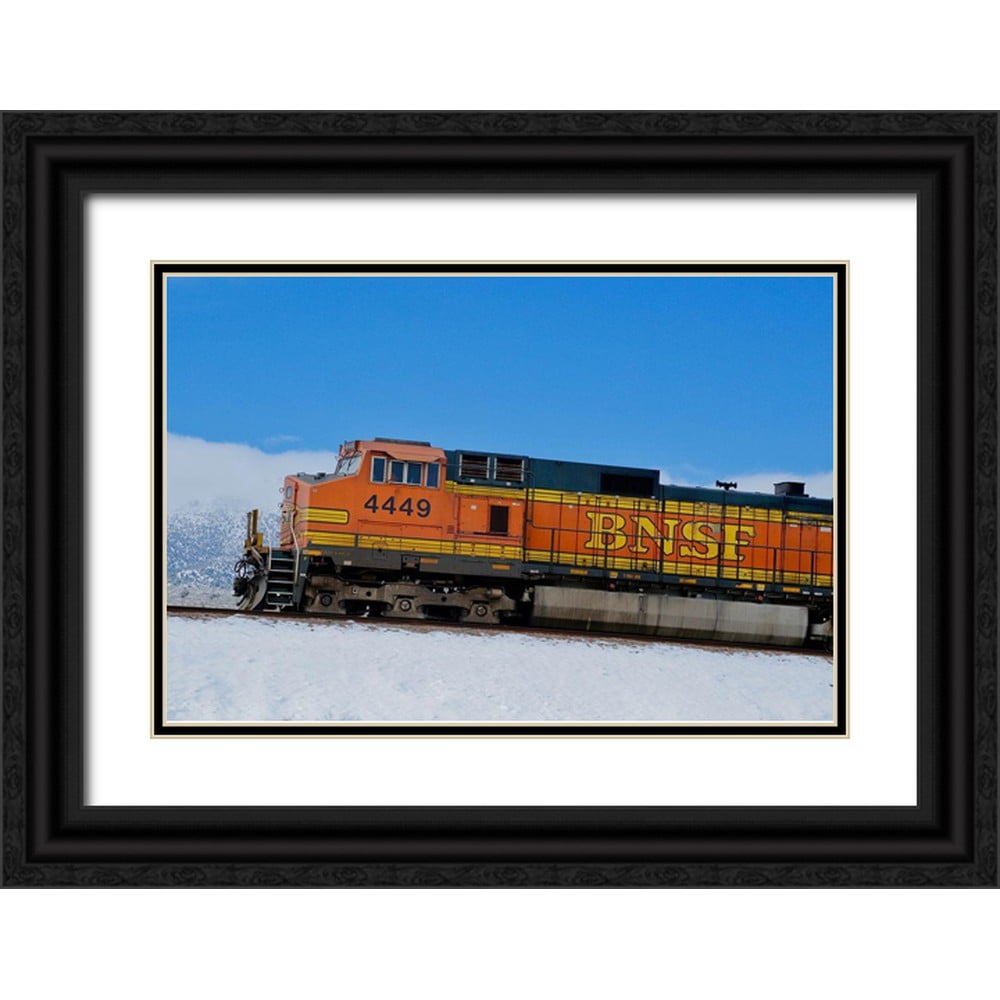 Susan Vizvary Photography 18x13 Black Ornate Wood Framed with Double ...