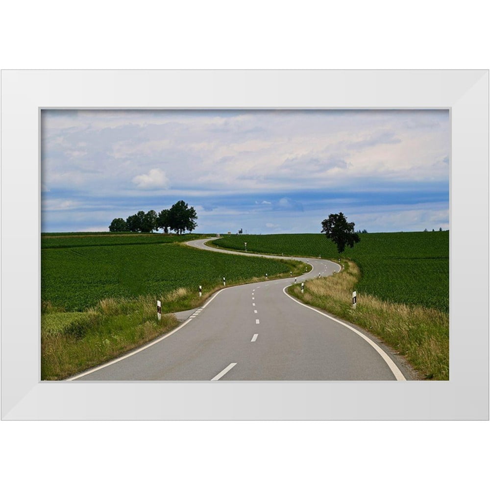 Susan Vizvary Photography 18x13 White Modern Wood Framed Museum Art ...