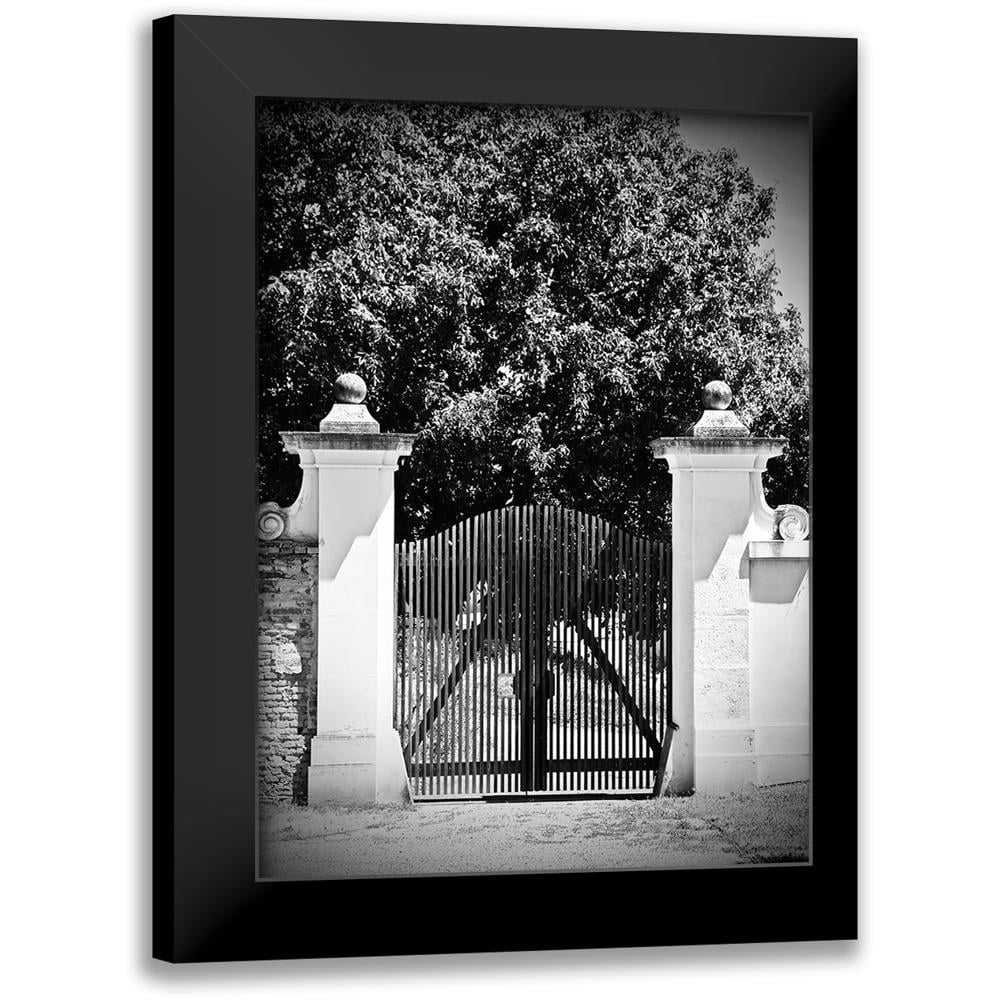 Susan Vizvary Photography 18x24 Black Modern Framed Museum Art Print ...