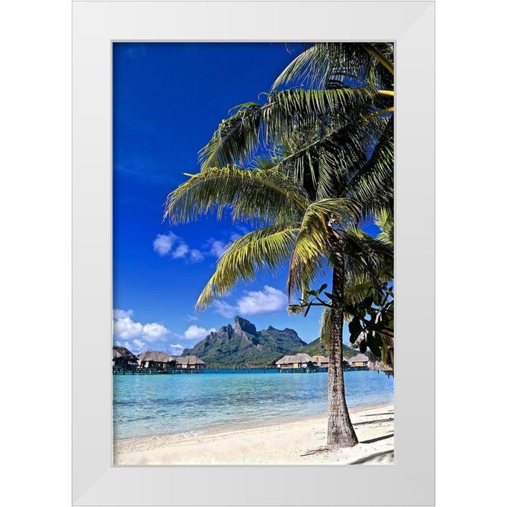 Susan Vizvary Photography 23x32 White Modern Wood Framed Museum Art ...