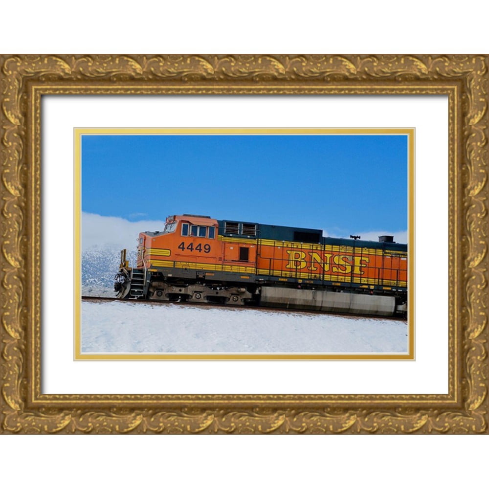 Susan Vizvary Photography 24x17 Gold Ornate Wood Framed with Double ...