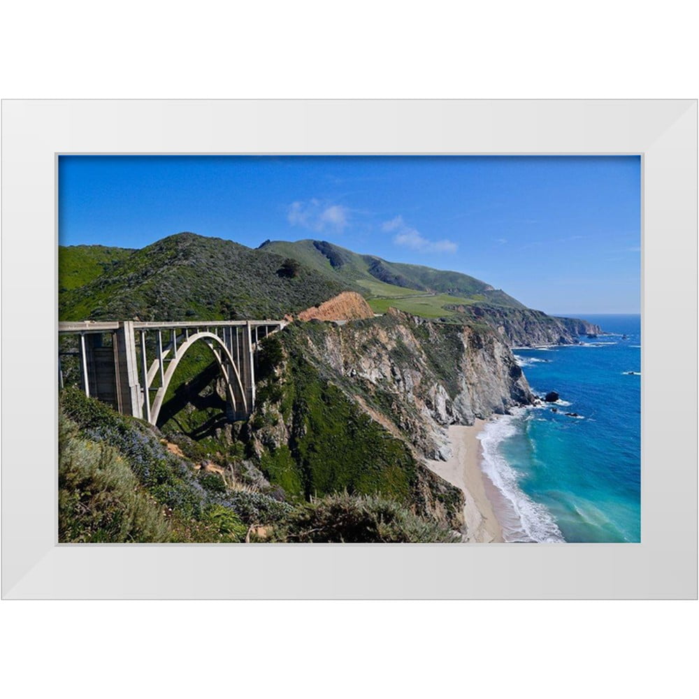 Susan Vizvary Photography 24x17 White Modern Wood Framed Museum Art ...