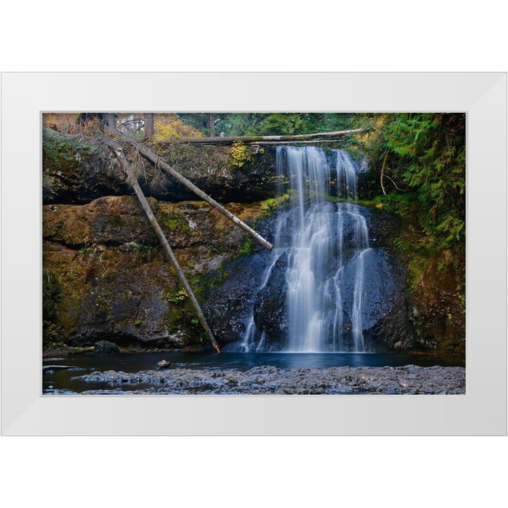 Susan Vizvary Photography 32x23 White Modern Wood Framed Museum Art ...