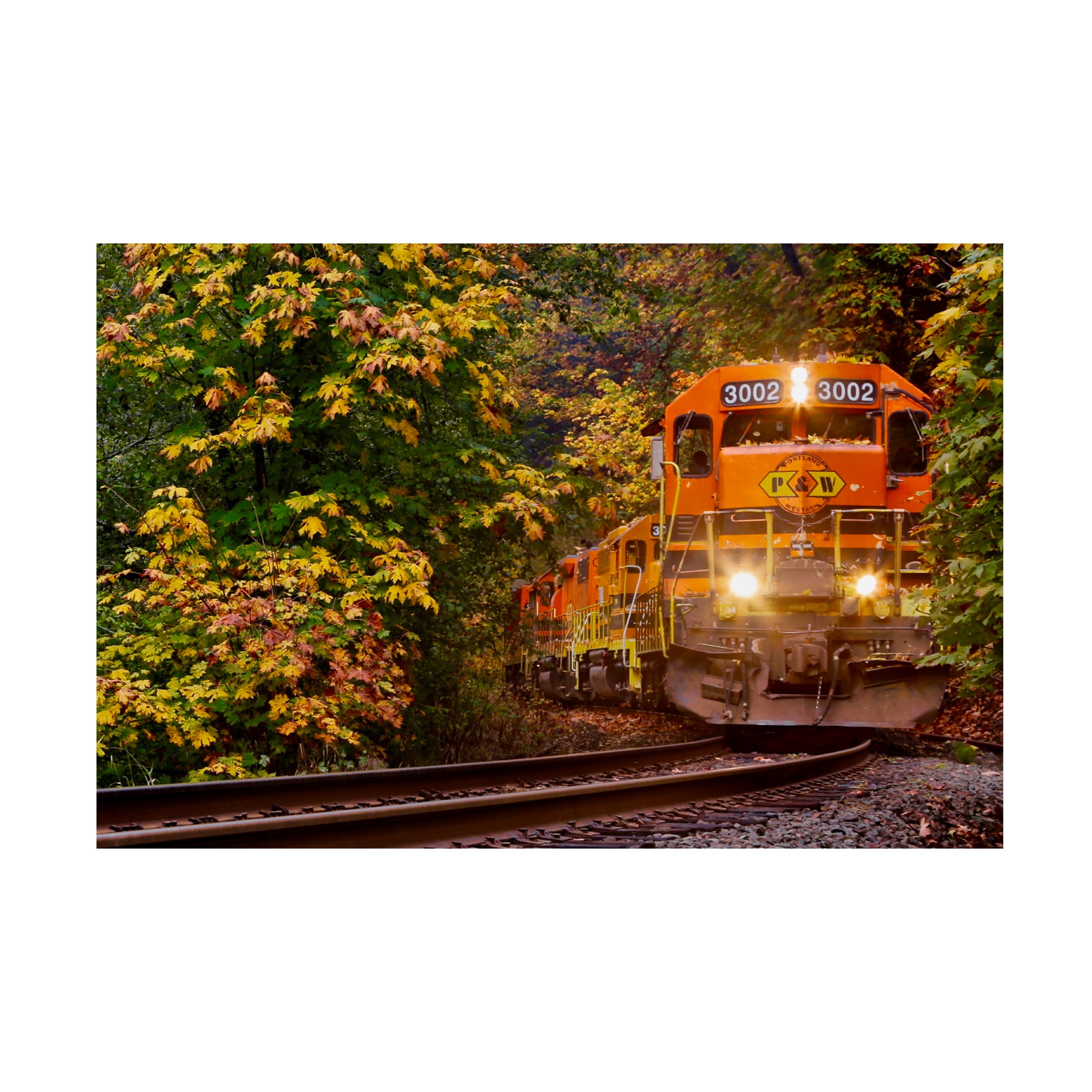Susan Vizvary Photography 'Closest Train on the Tracks' Canvas Art ...
