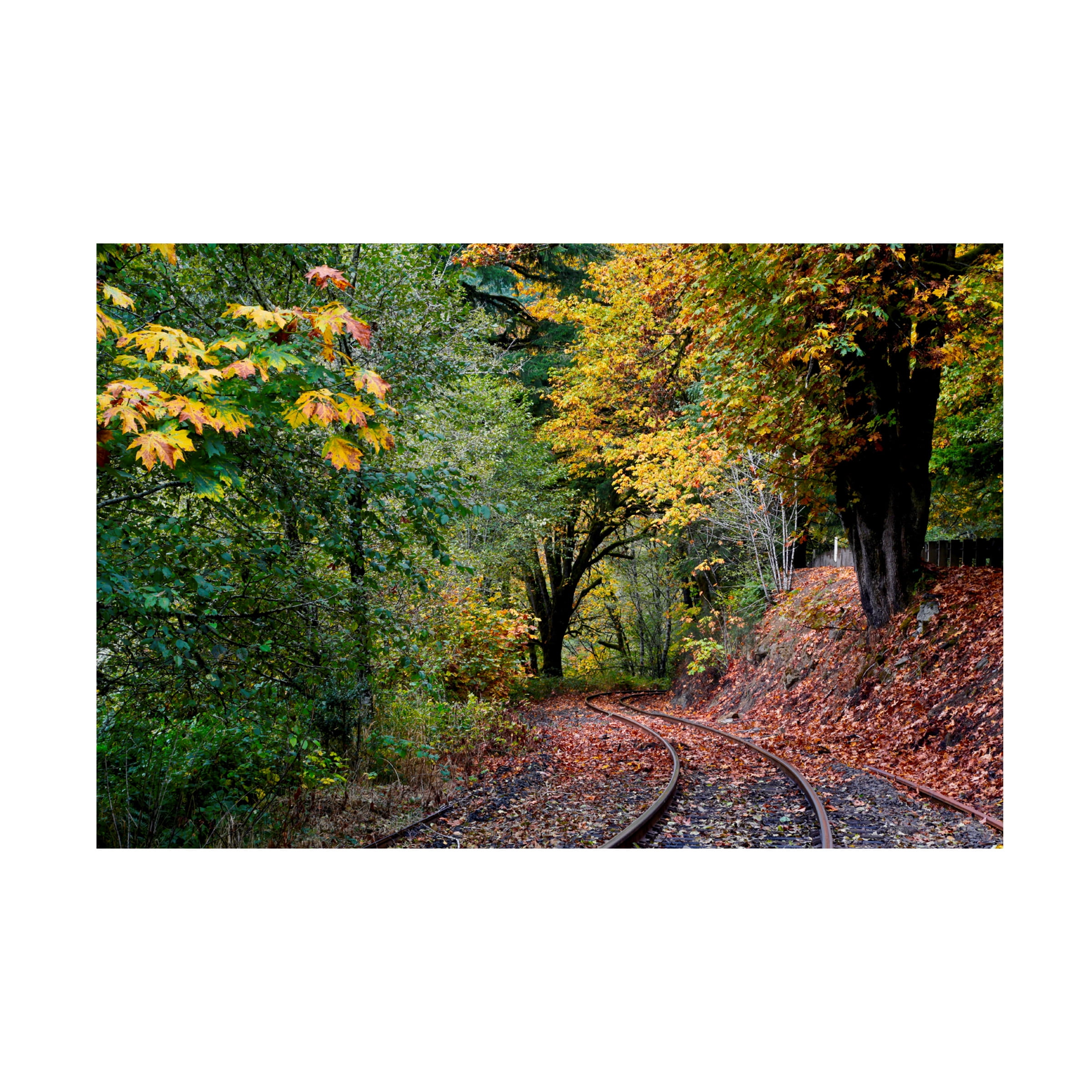 Susan Vizvary Photography 'Curved Tracks' Canvas Art - Walmart.com