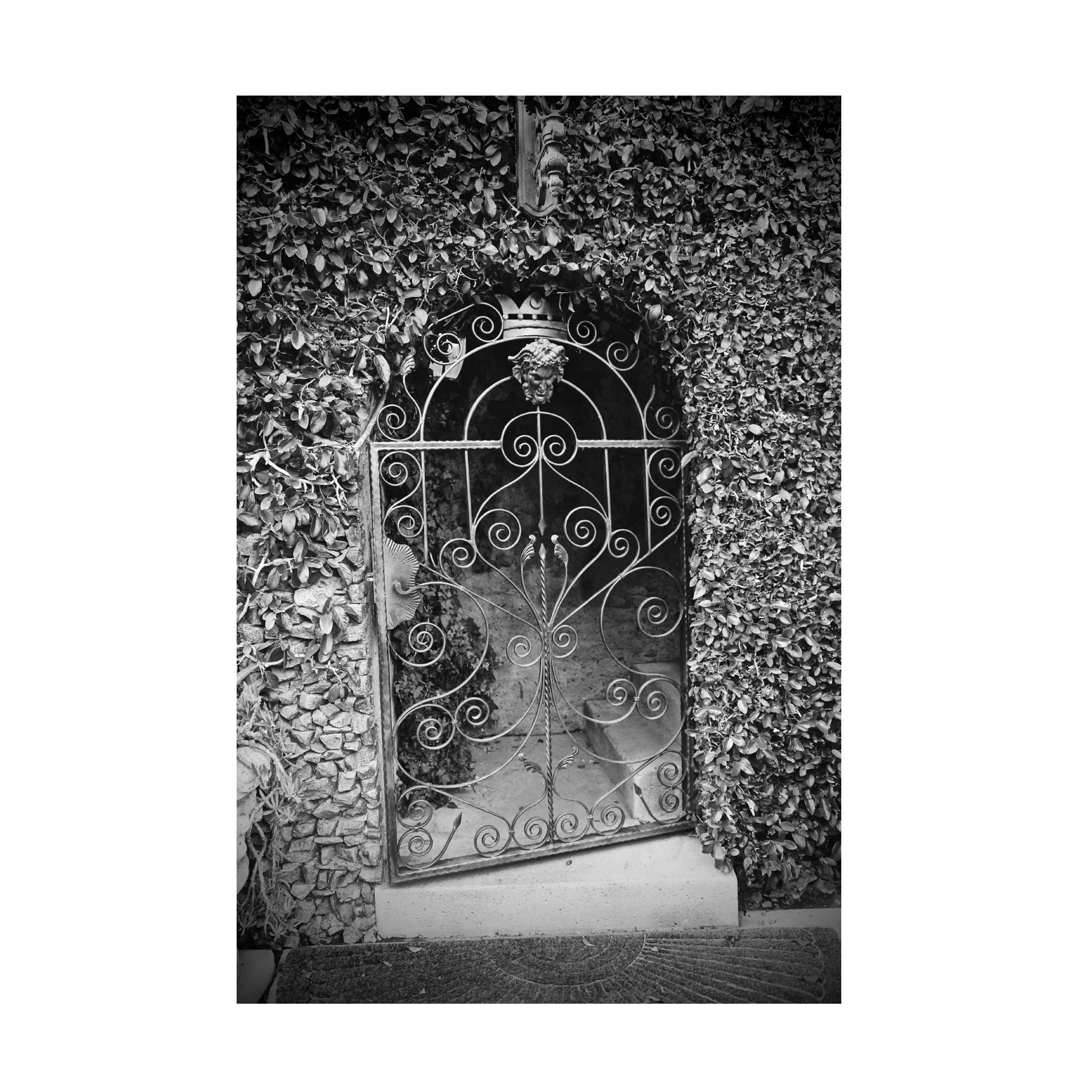 Susan Vizvary Photography 'Gate With Ivy' Canvas Art - Walmart.com