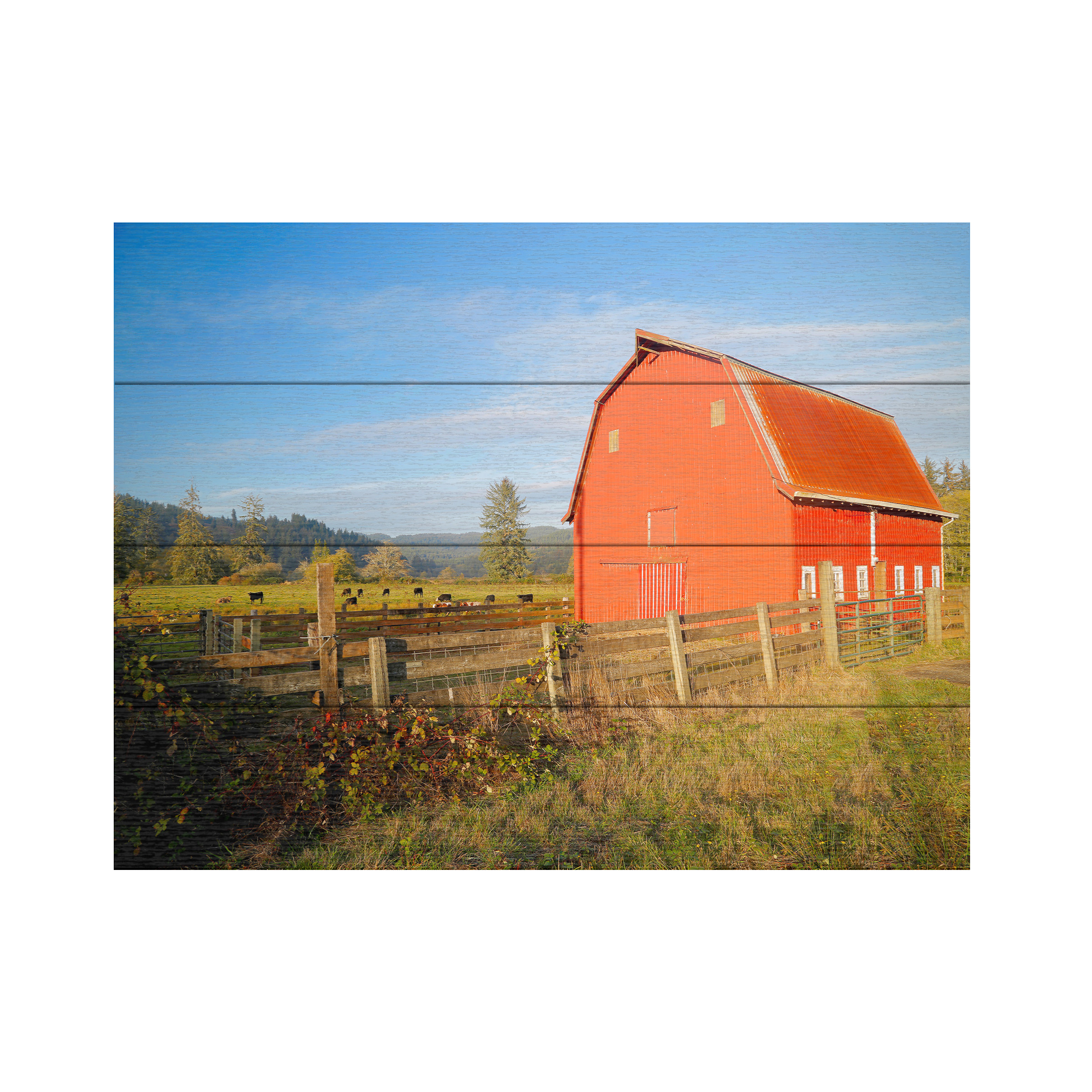 Susan Vizvary Photography 'Red Barn with Cows 2' Wood Slat Art 12x16 ...