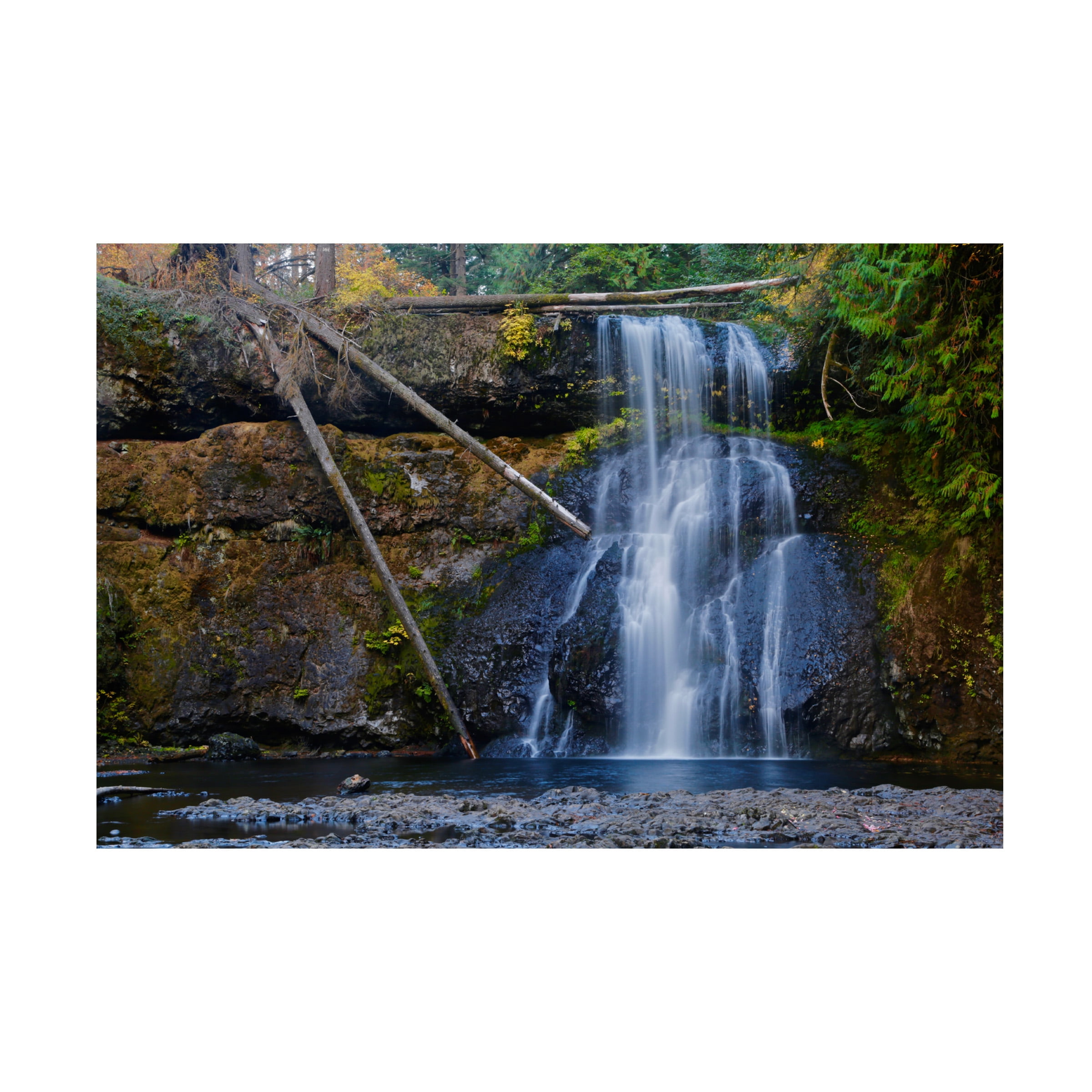 Susan Vizvary Photography 'Three Trunk Waterfall' Canvas Art - Walmart.com
