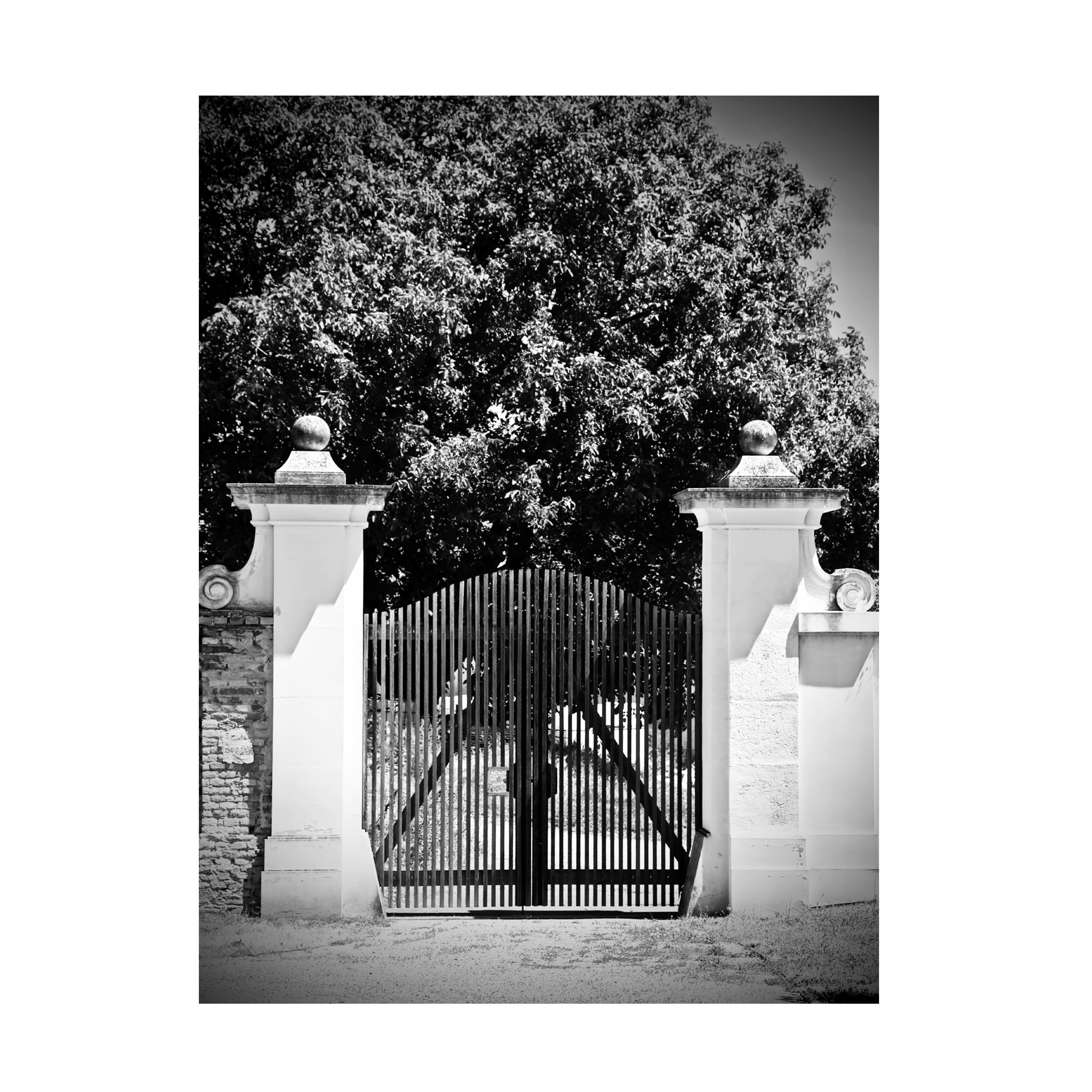Susan Vizvary Photography 'Wooden Gate Black and white' Canvas Art ...