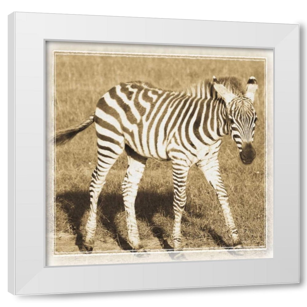 Susann Parker 4x24 White Modern Wood Framed Wall Art Titled - Young ...