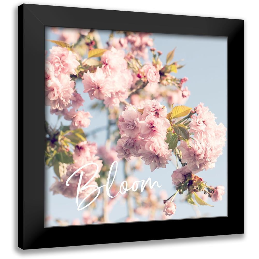 Susannah Tucker Photography 12x12 Black Modern Framed Museum Art Print ...