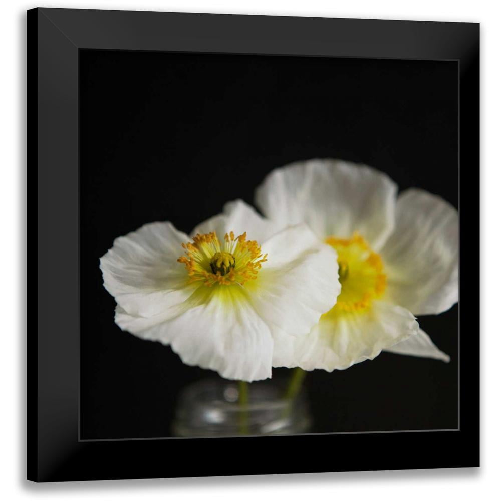 Susannah Tucker Photography 12x12 Black Modern Framed Museum Art Print ...