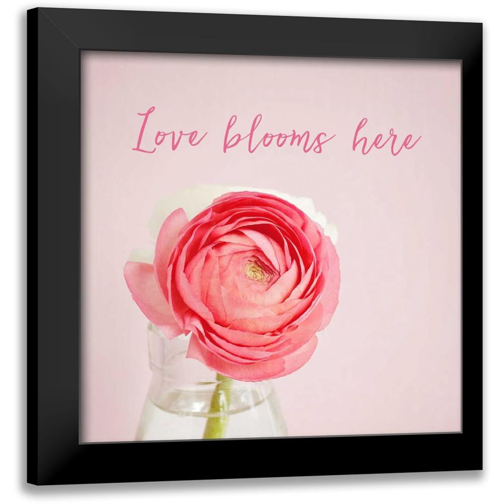 Susannah Tucker Photography 12x12 Black Modern Framed Museum Art Print ...