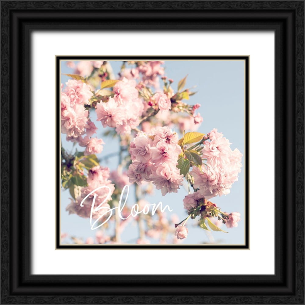 Susannah Tucker Photography 12x12 Black Ornate Wood Framed with Double ...