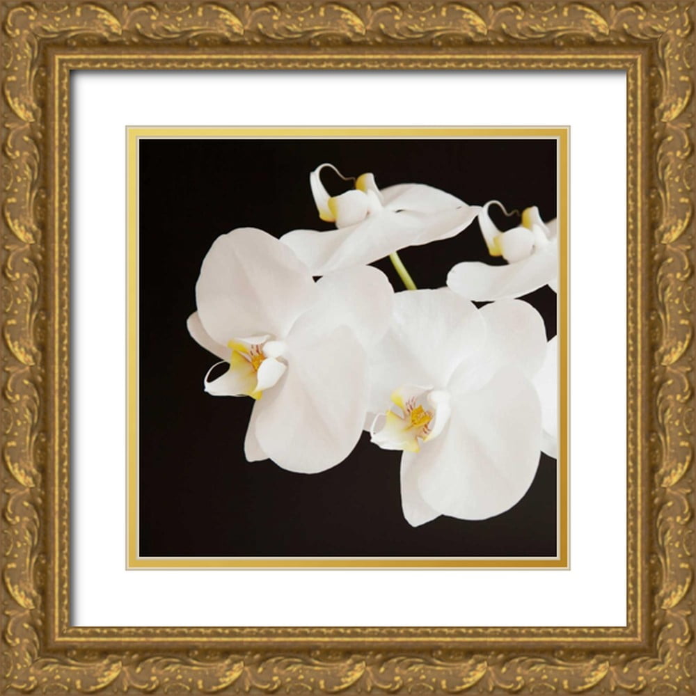 Susannah Tucker Photography 12x12 Gold Ornate Wood Framed with Double ...