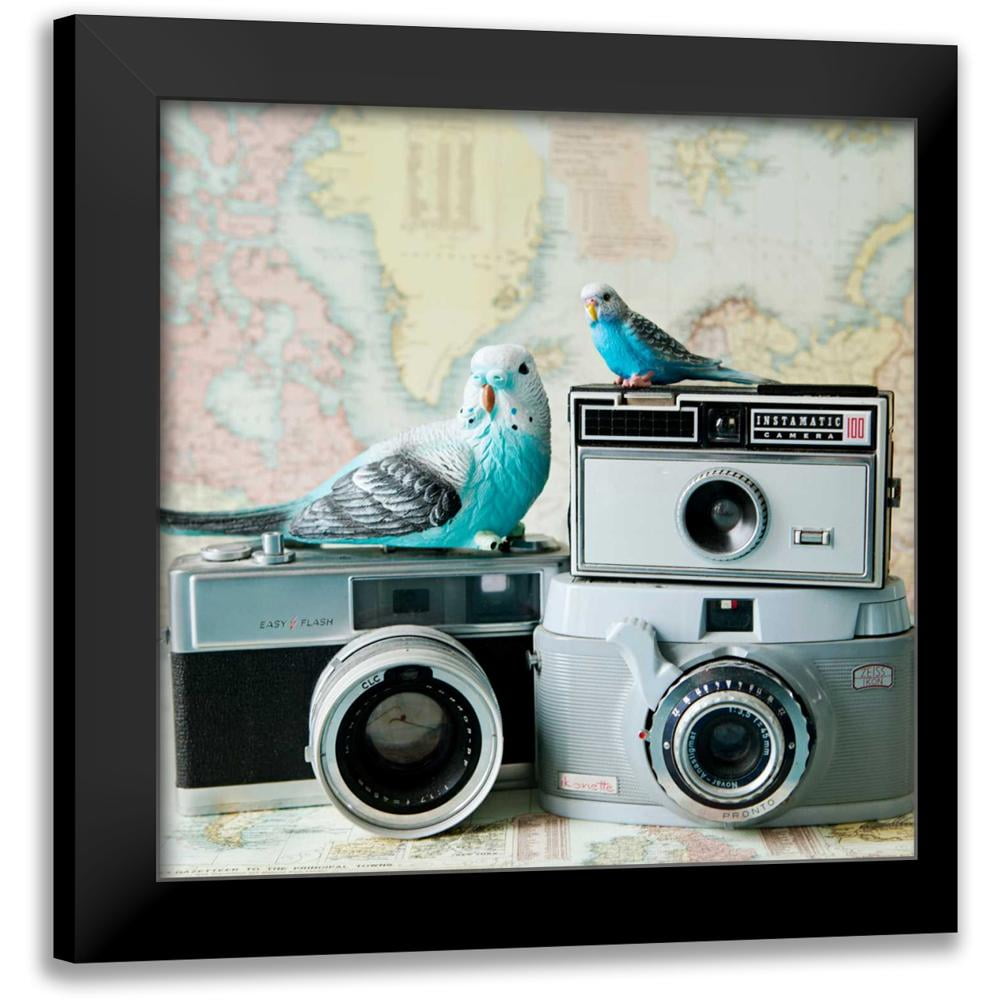 Susannah Tucker Photography 15x15 Black Modern Framed Museum Art Print ...