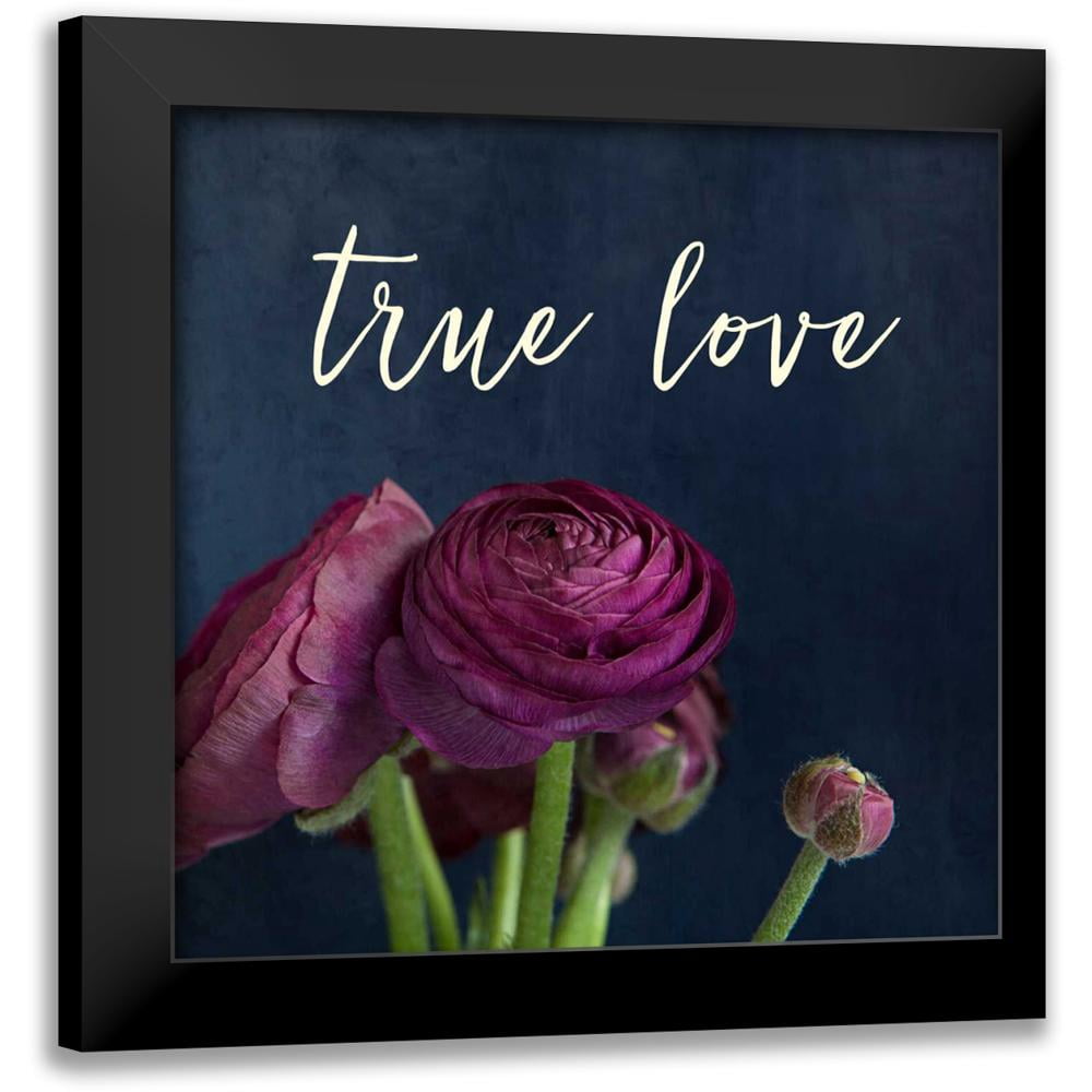 Susannah Tucker Photography 15x15 Black Modern Framed Museum Art Print ...