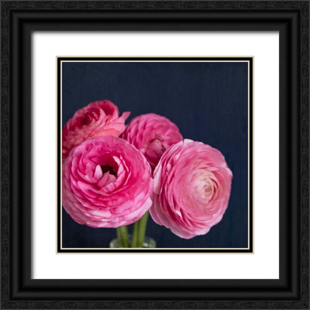 Susannah Tucker Photography 15x15 Black Ornate Wood Framed with Double ...