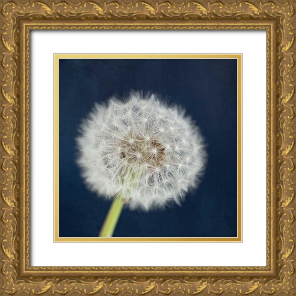 Susannah Tucker Photography 15x15 Gold Ornate Wood Framed with Double ...