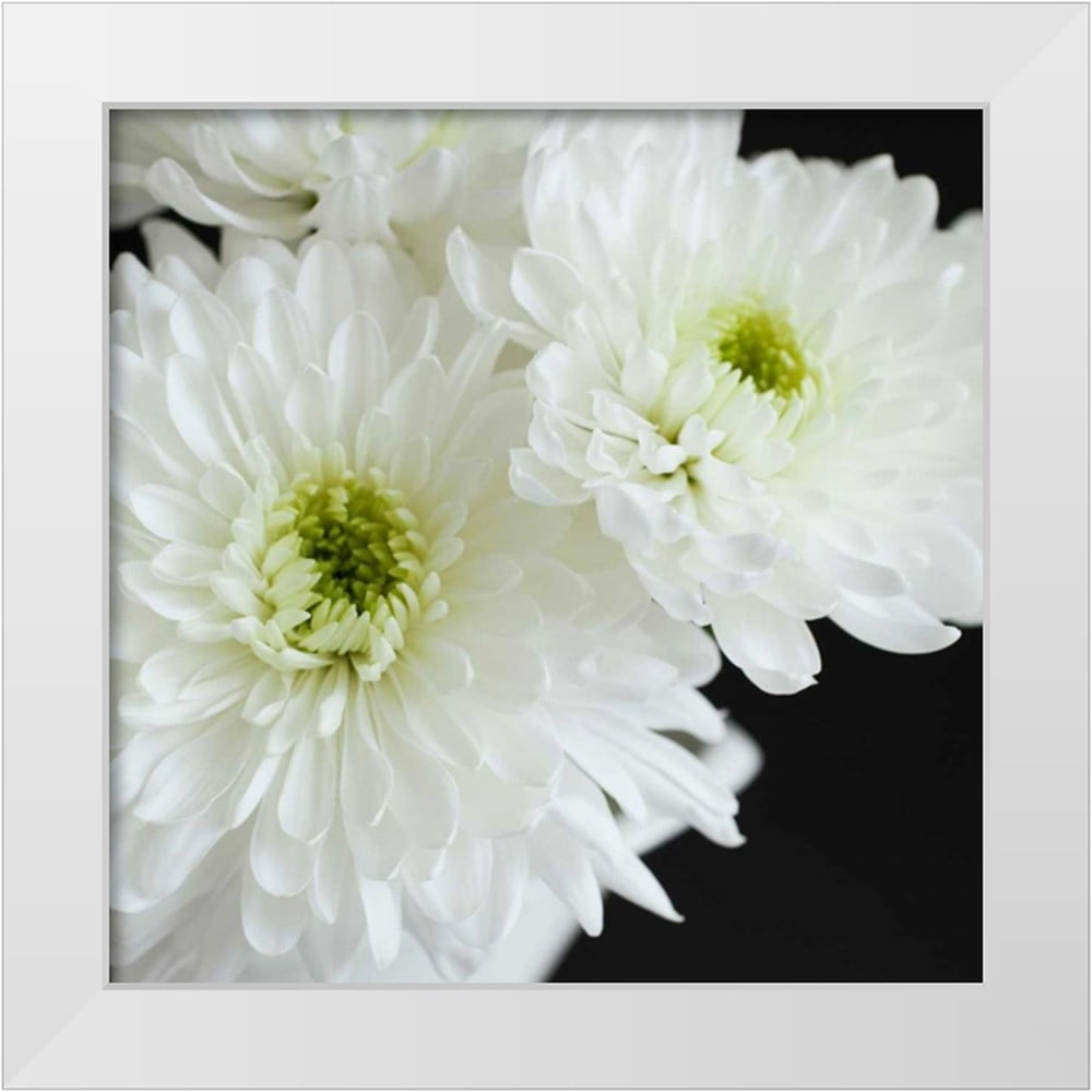 Susannah Tucker Photography 15x15 White Modern Wood Framed Museum Art Print Titled - Dramatic ...