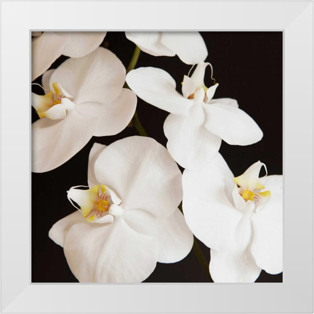 Susannah Tucker Photography 15x15 White Modern Wood Framed Museum Art Print Titled - Dramatic ...