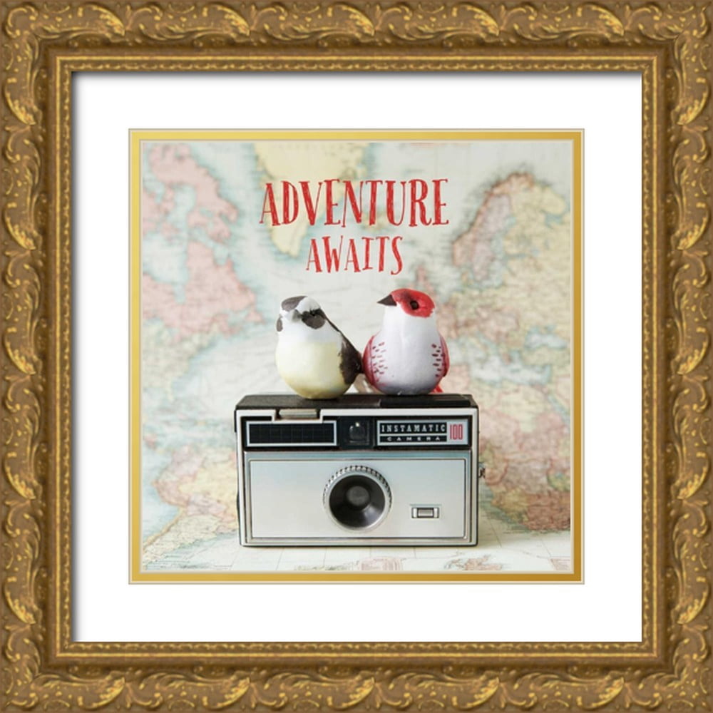 Susannah Tucker Photography 26x26 Gold Ornate Wood Framed with Double ...