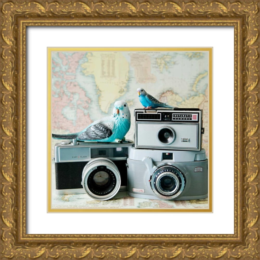 Susannah Tucker Photography 26x26 Gold Ornate Wood Framed with Double ...